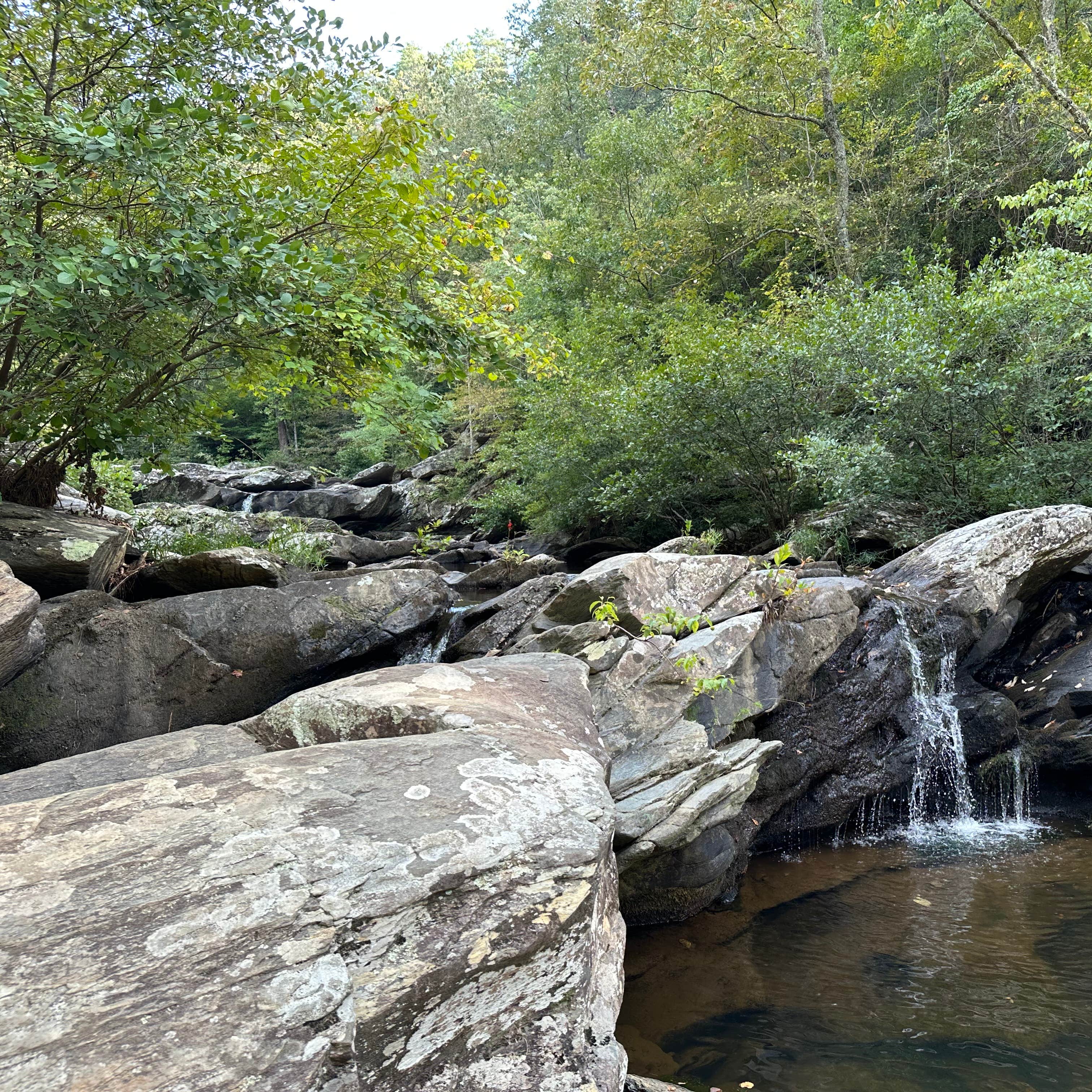Skyway Loop Backcountry Site Near Chinnabee Camping | Munford, Alabama