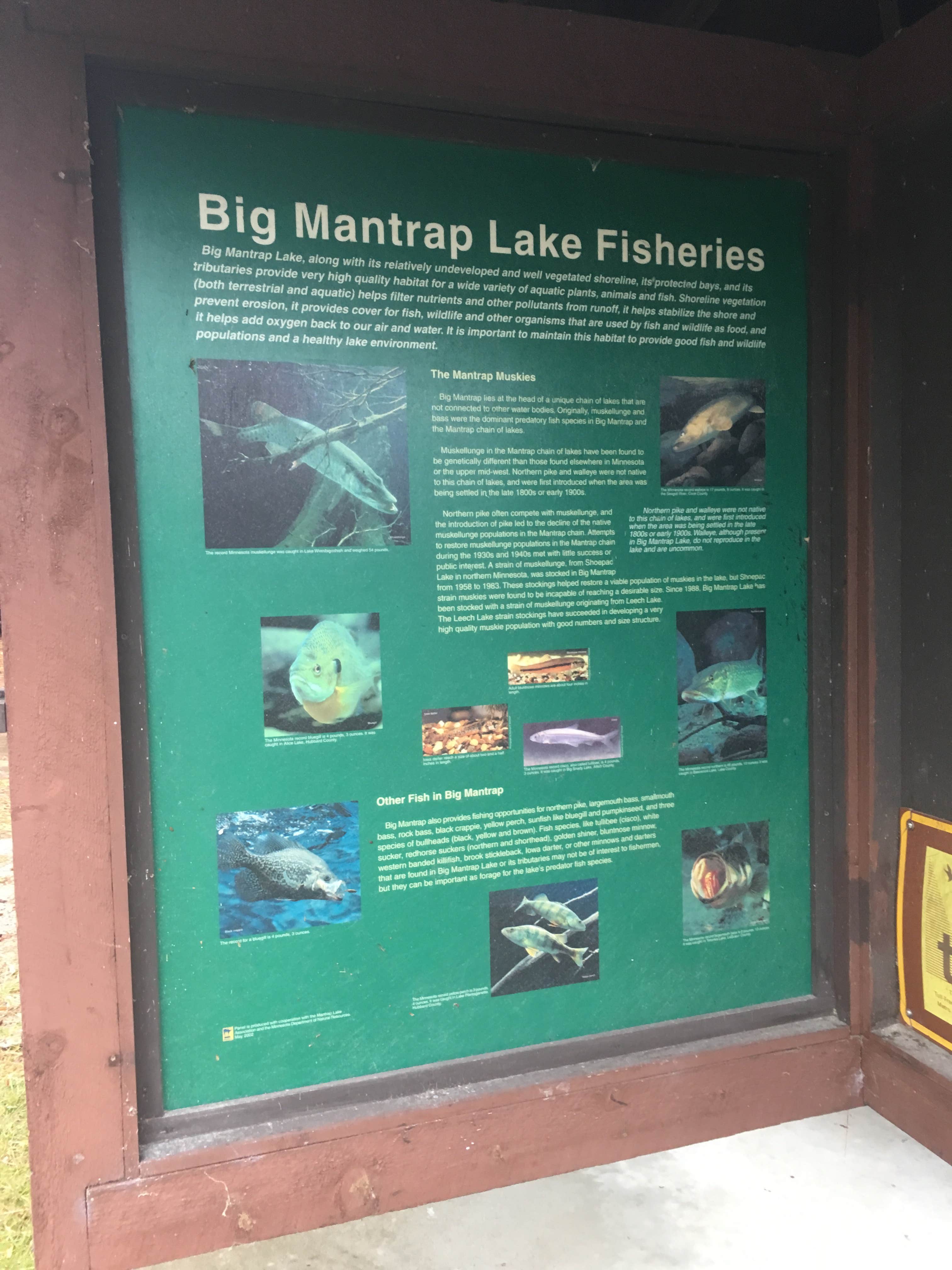 Mantrap Lake Campground and Day-Use Area | The Dyrt