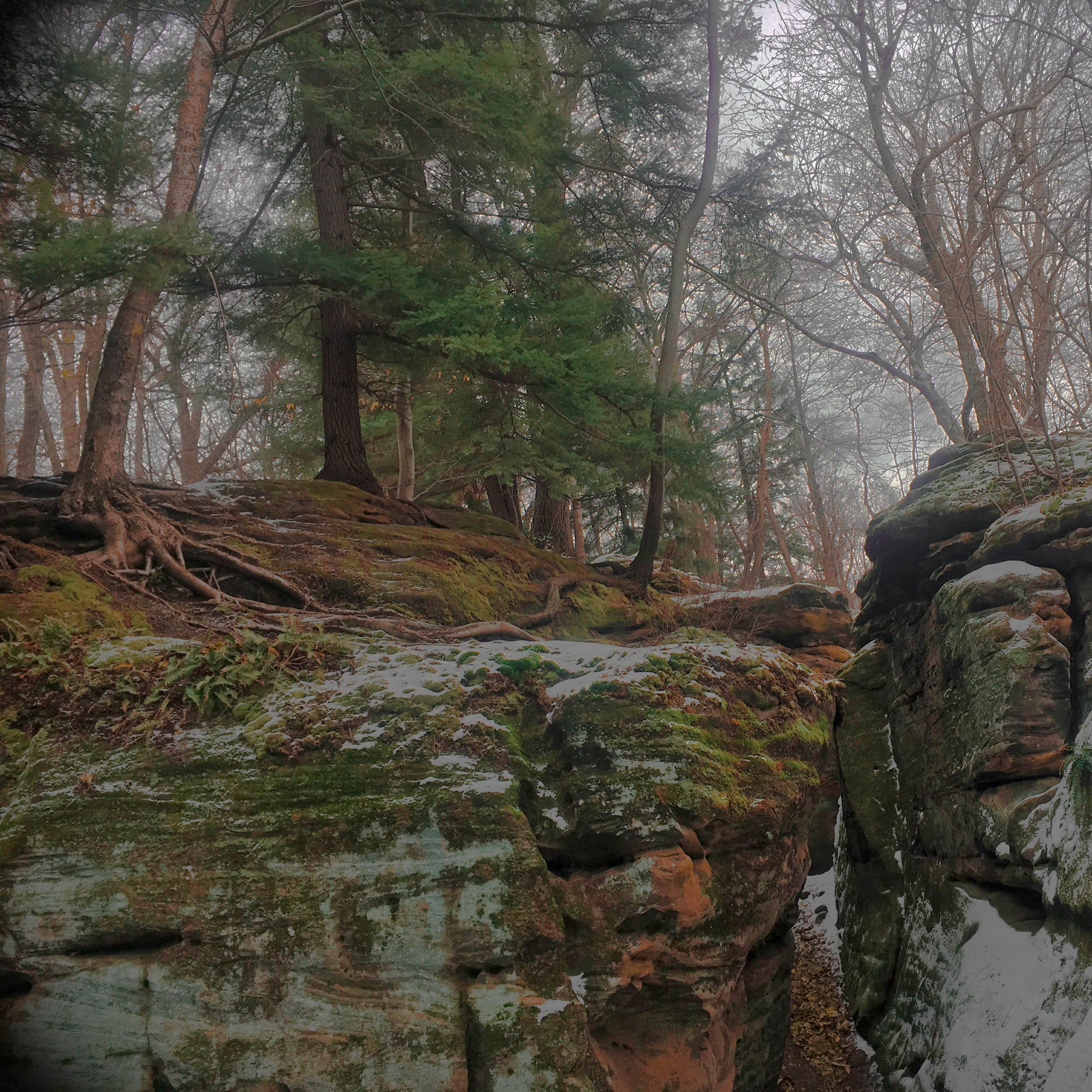 Nelson-Kennedy Ledges Quarry Park Camping | The Dyrt