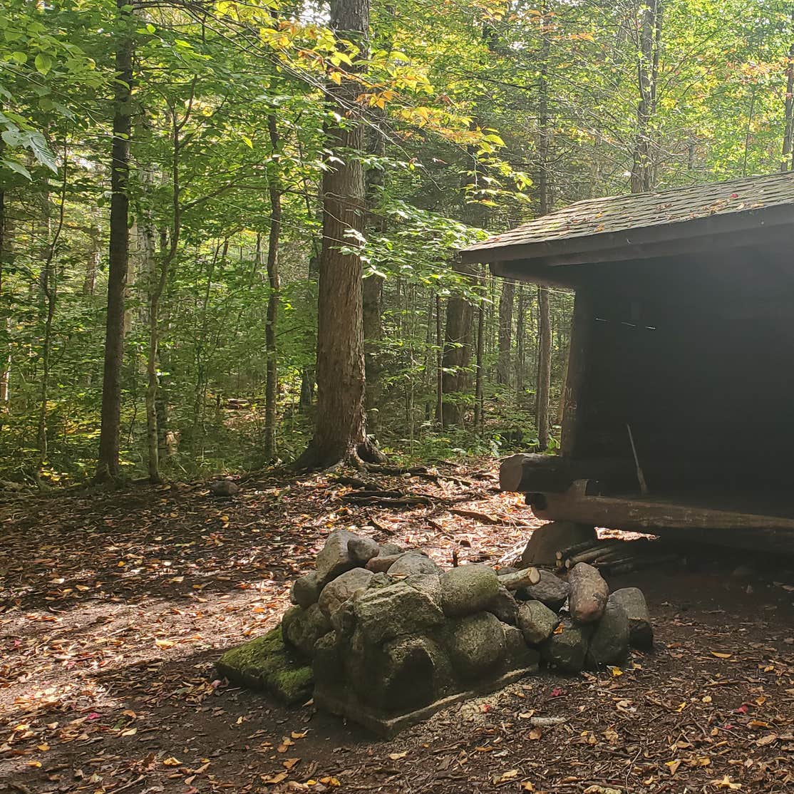 Blueberry lean-to campground | Ray Brook, New York