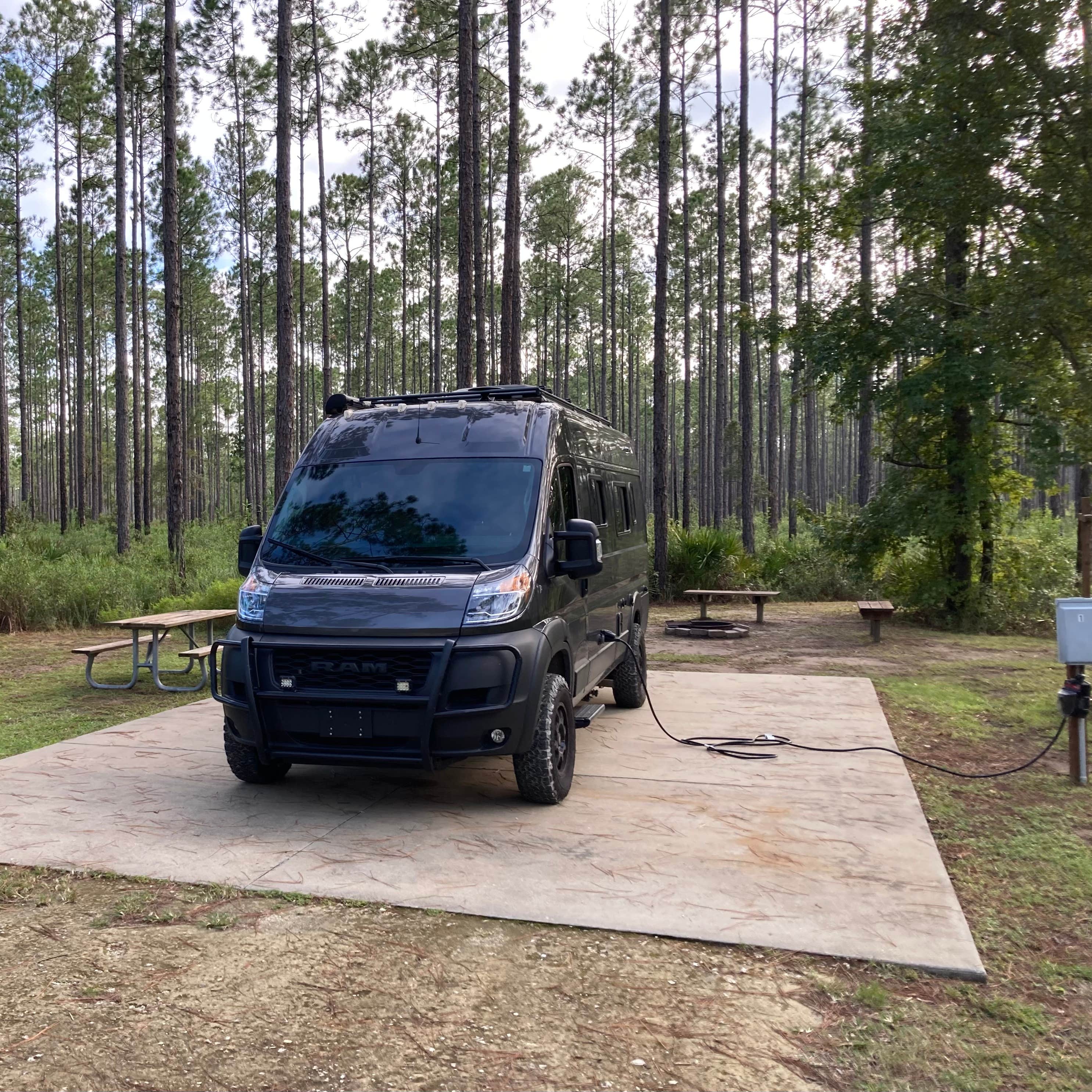 Cary State Forest Campground | Bryceville, Florida