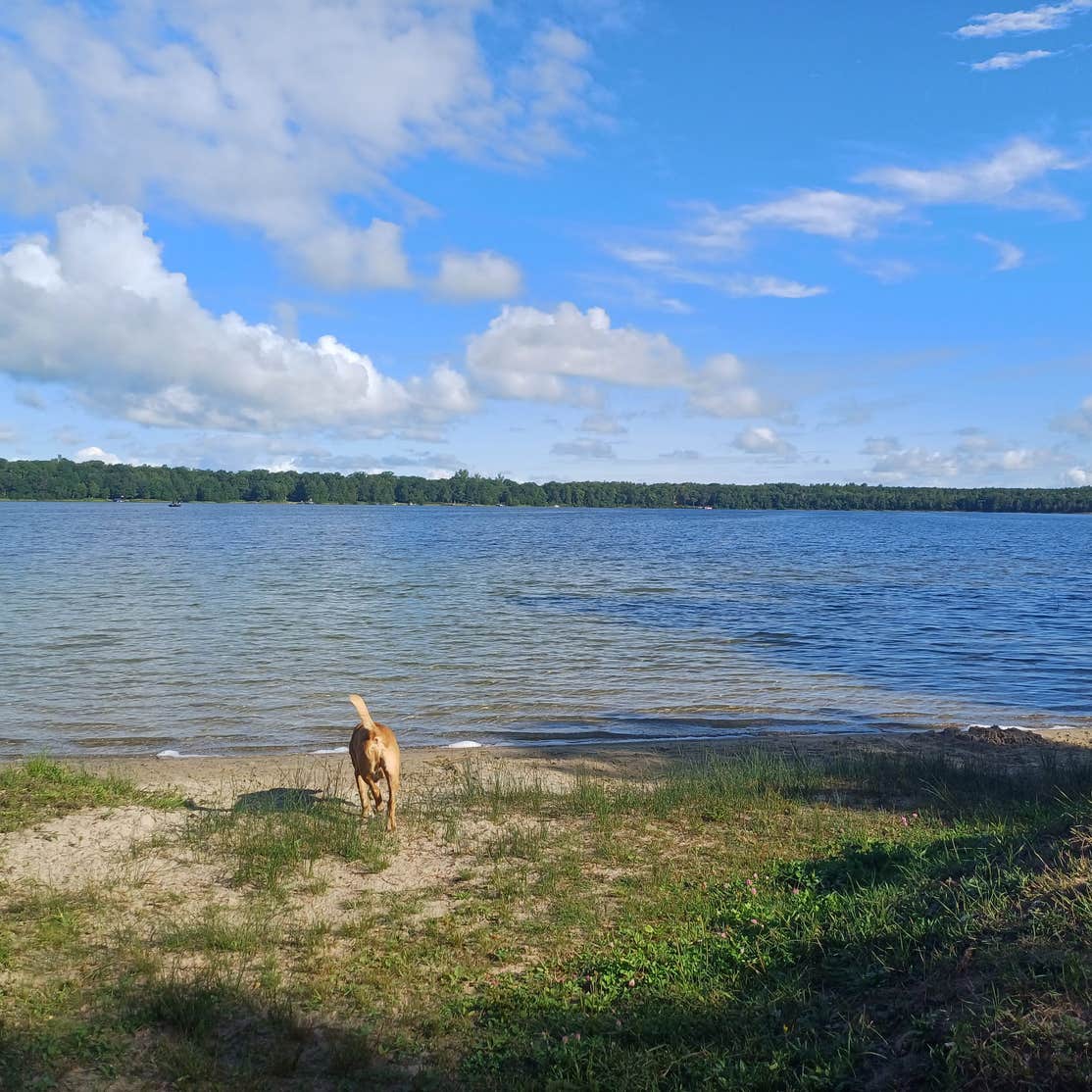 Mabel Lake Campground | Remer, MN