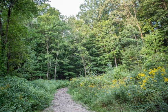 Bluestem Lake Camping | Pawhuska, OK