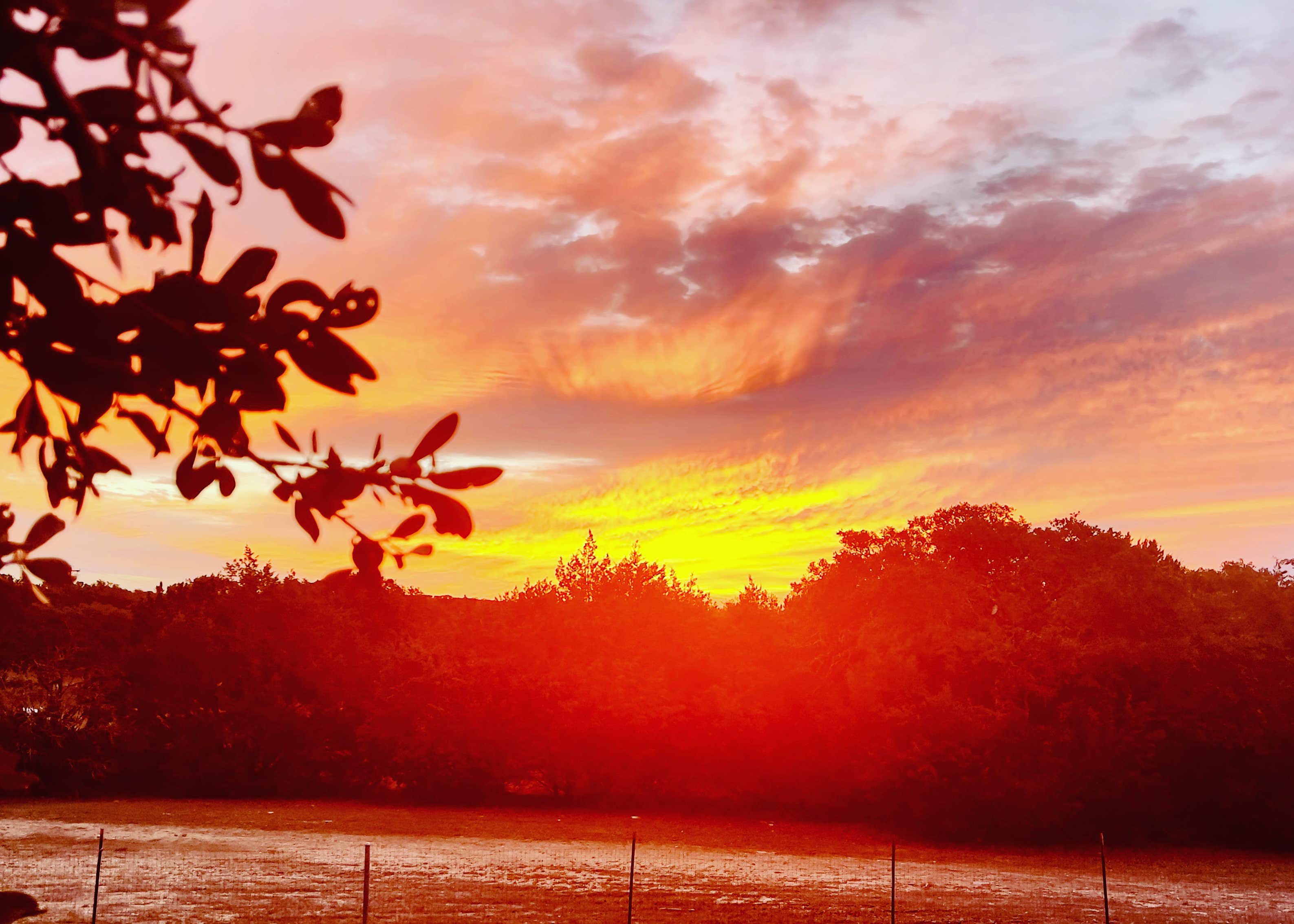 Lake Pointe Resort Camping | The Dyrt