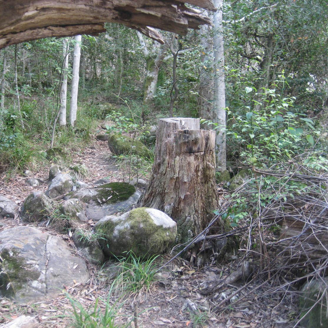 Sylco Camping | Cisco, Georgia