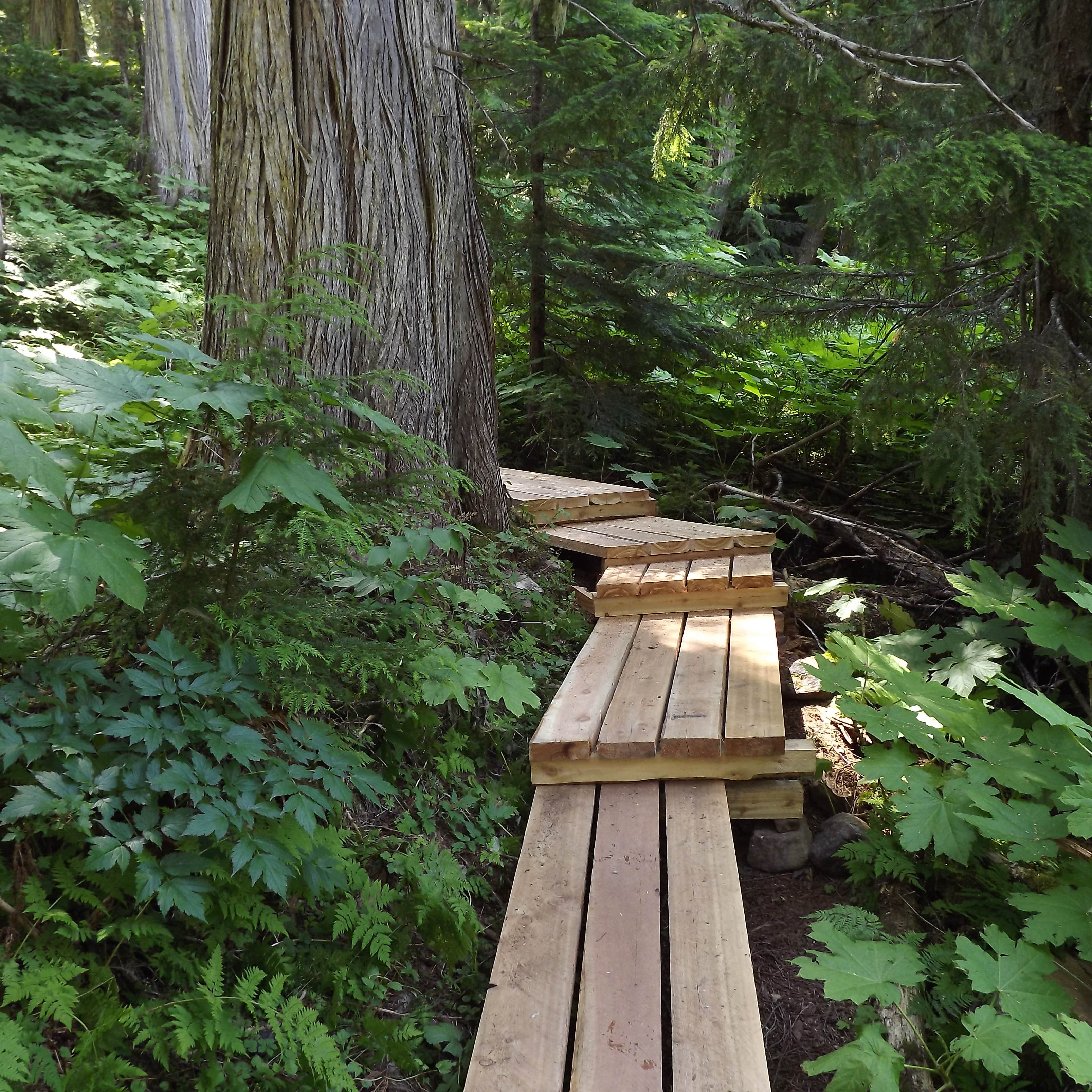 Sylco Camping | The Dyrt