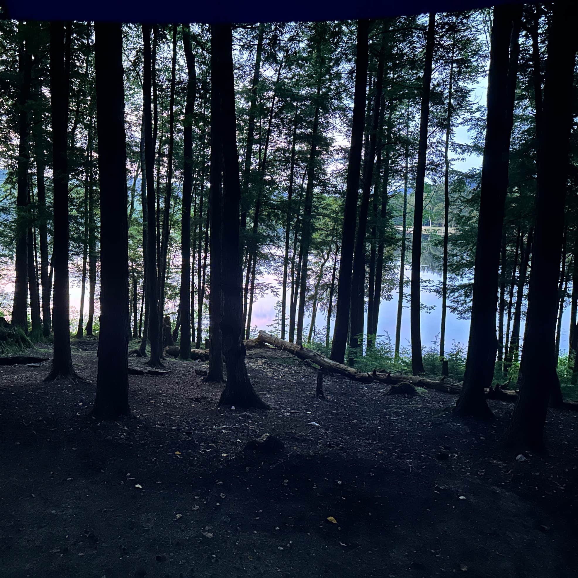 Clarksburg State Park Campground | Clarksburg, MA