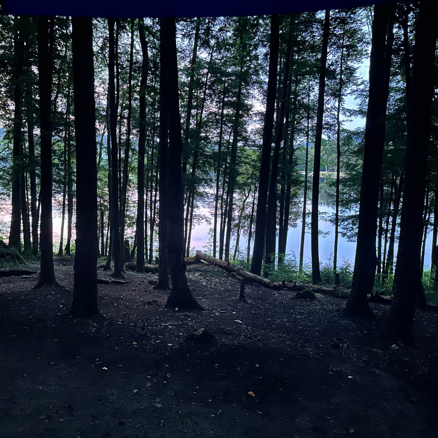 Clarksburg State Park Campground | Clarksburg, Massachusetts