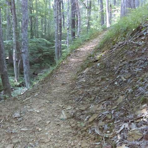 Sylco Camping | Cisco, Georgia