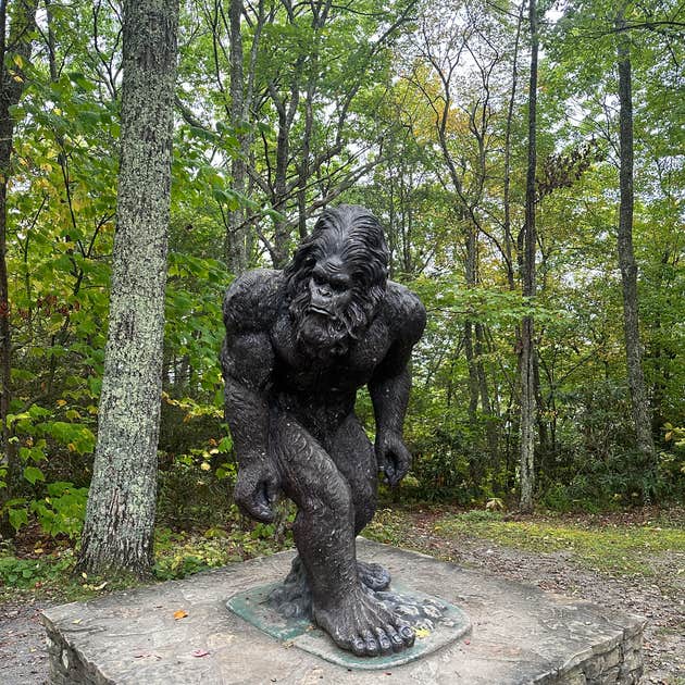 Flag Rock Recreation Area Campground | Norton, VA