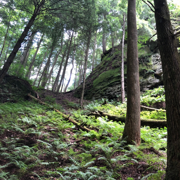 Sylco Camping | The Dyrt