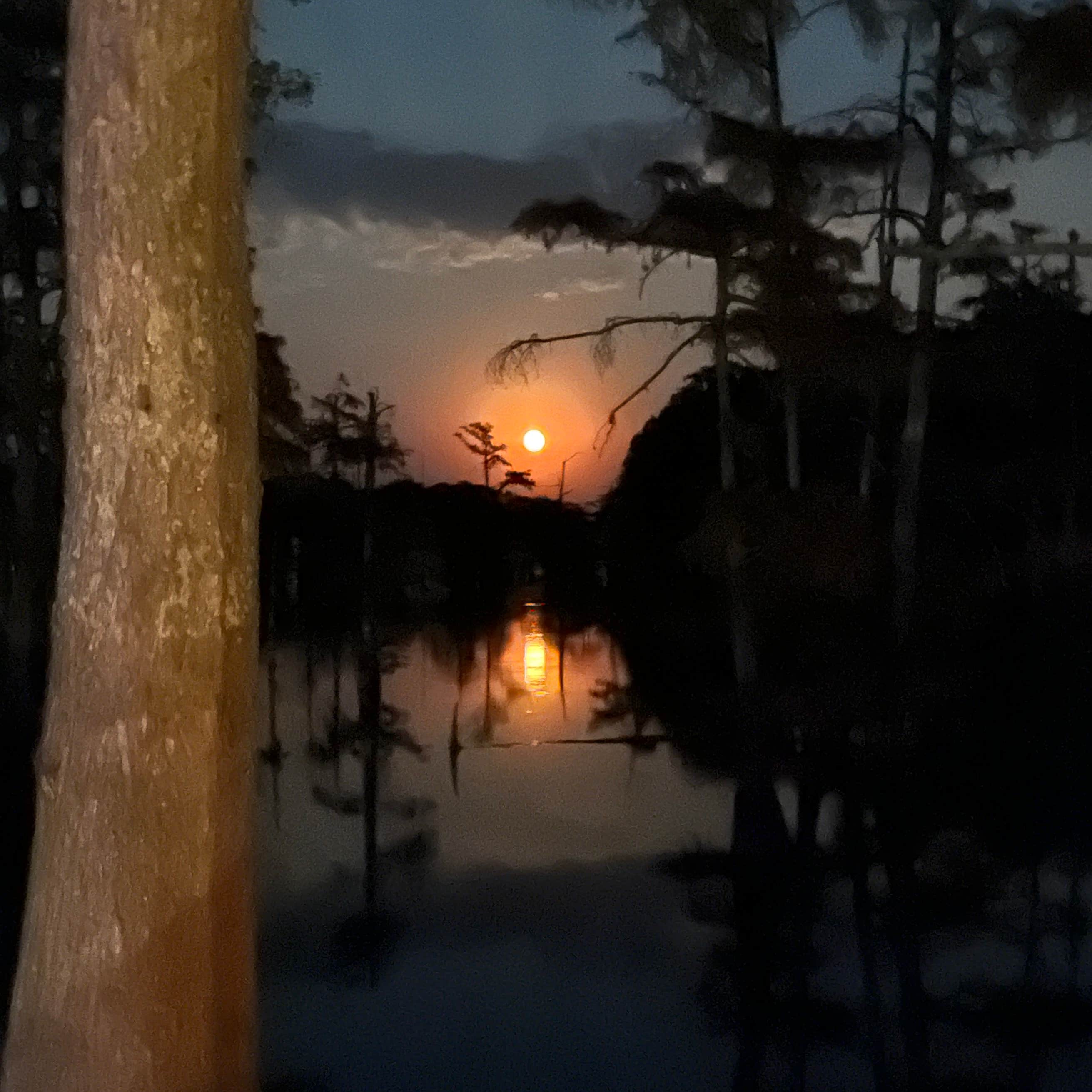 Flamingo Pointe RV Park at Lake Wallace, 2 miles off US HYW 165 | Lake ...