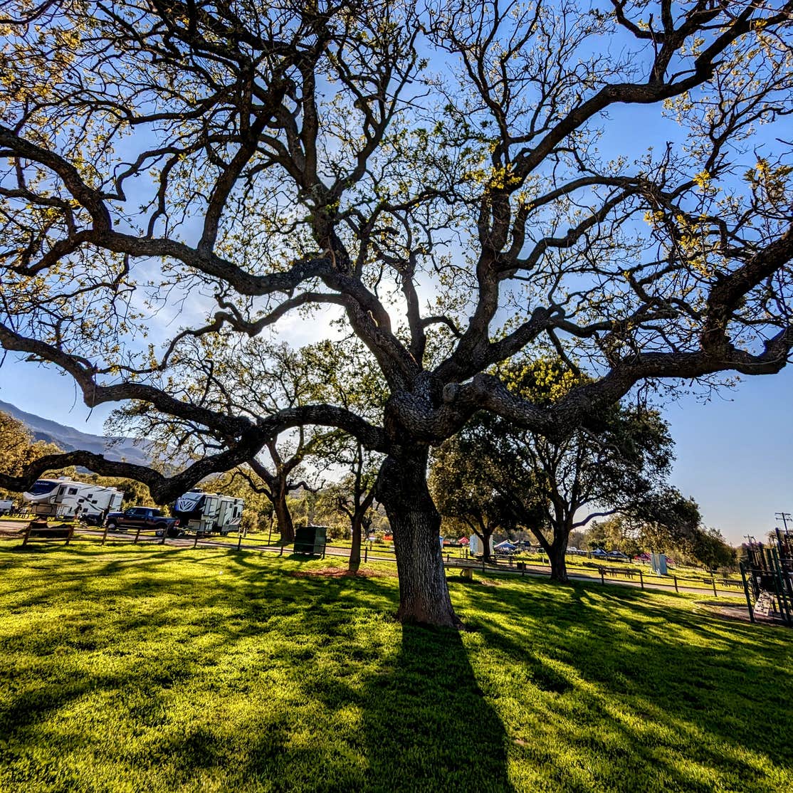 Cachuma Lake Recreation Area Camping | Santa Barbara, CA