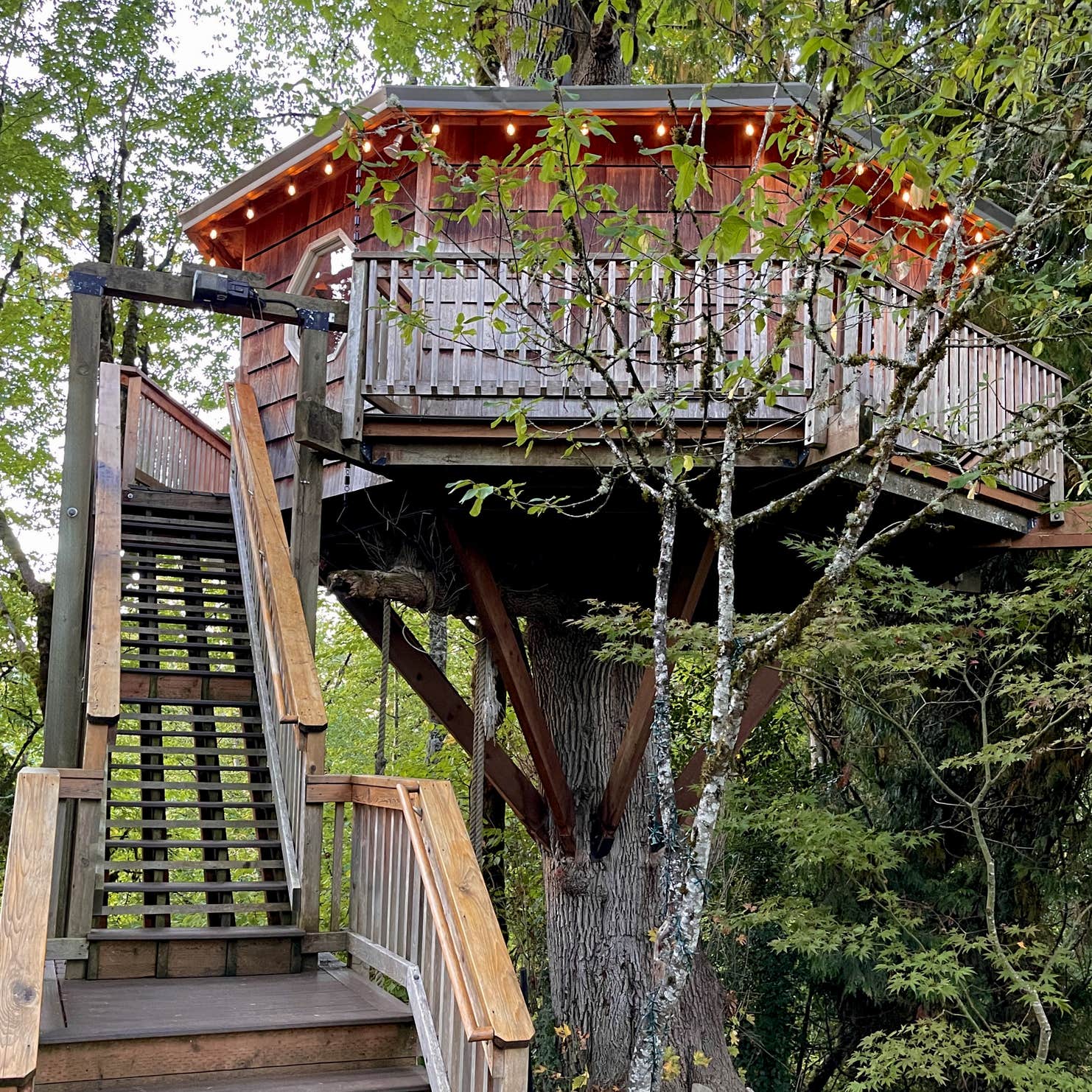 Cedar Springs Alpacas Camping | Sandy, Oregon