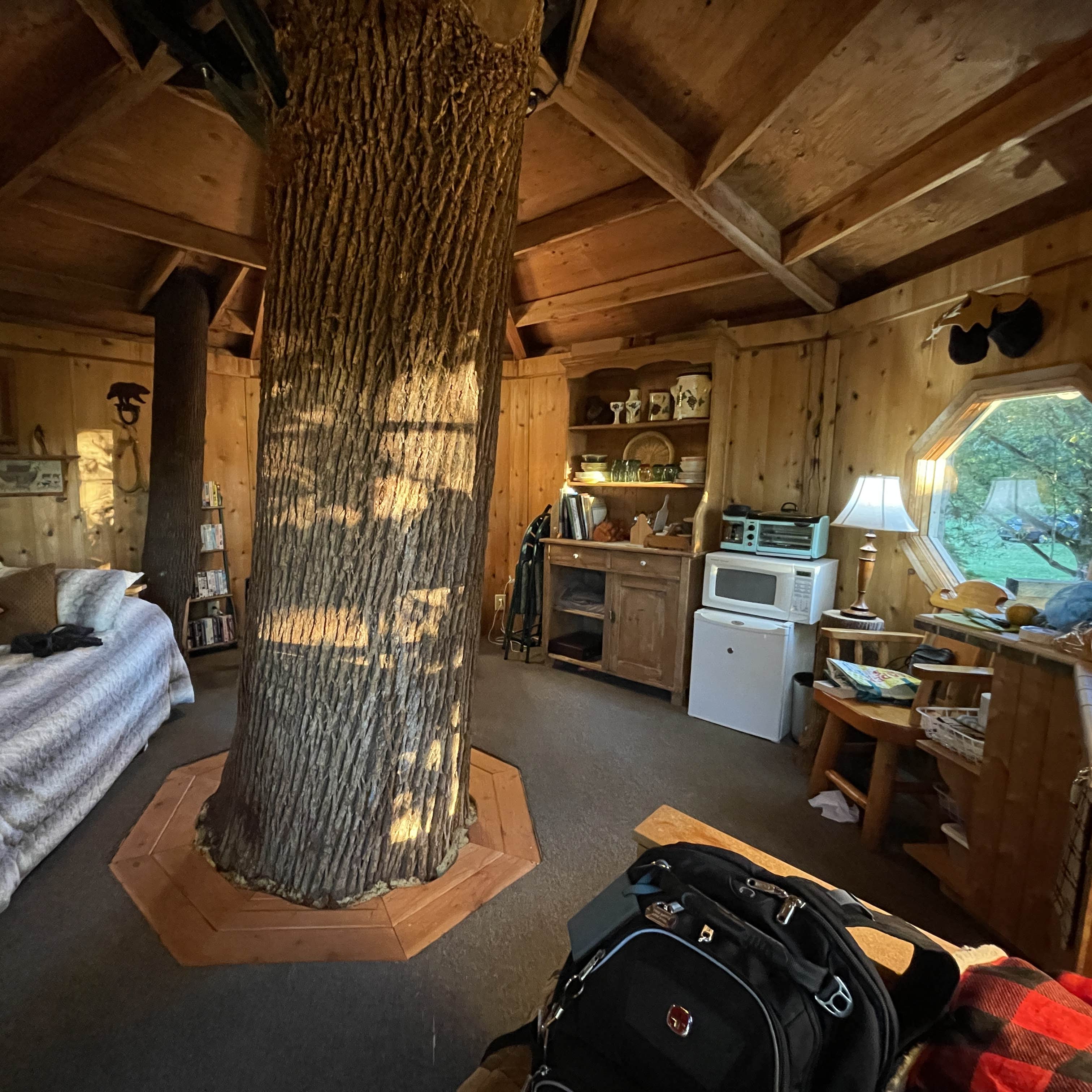 Cedar Springs Alpacas Camping | Sandy, Oregon