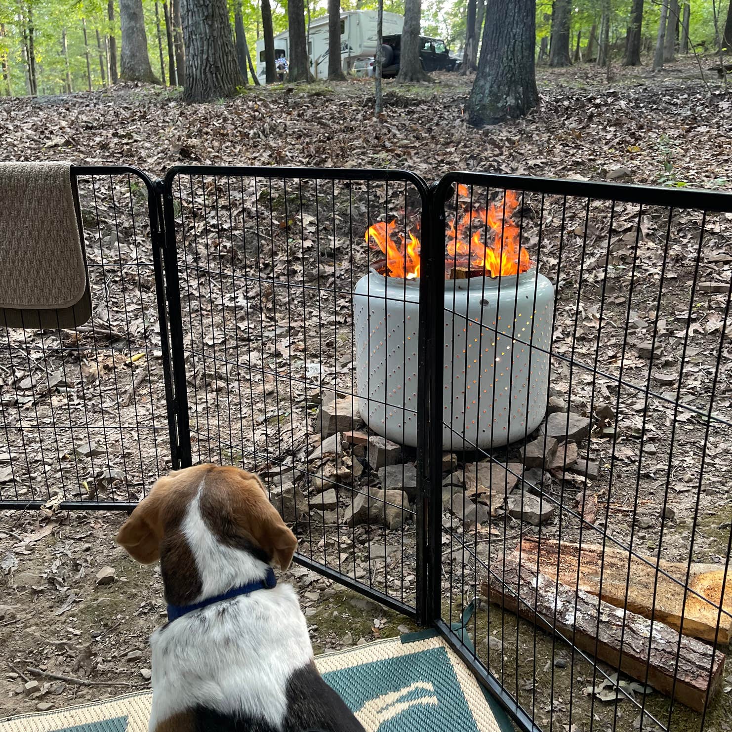 Middle Ridge Campground | Romney, WV