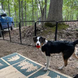 Middle Ridge Campground | Romney, WV