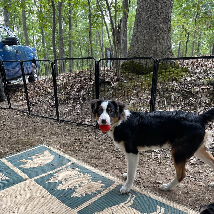 Middle Ridge Campground | Romney, WV