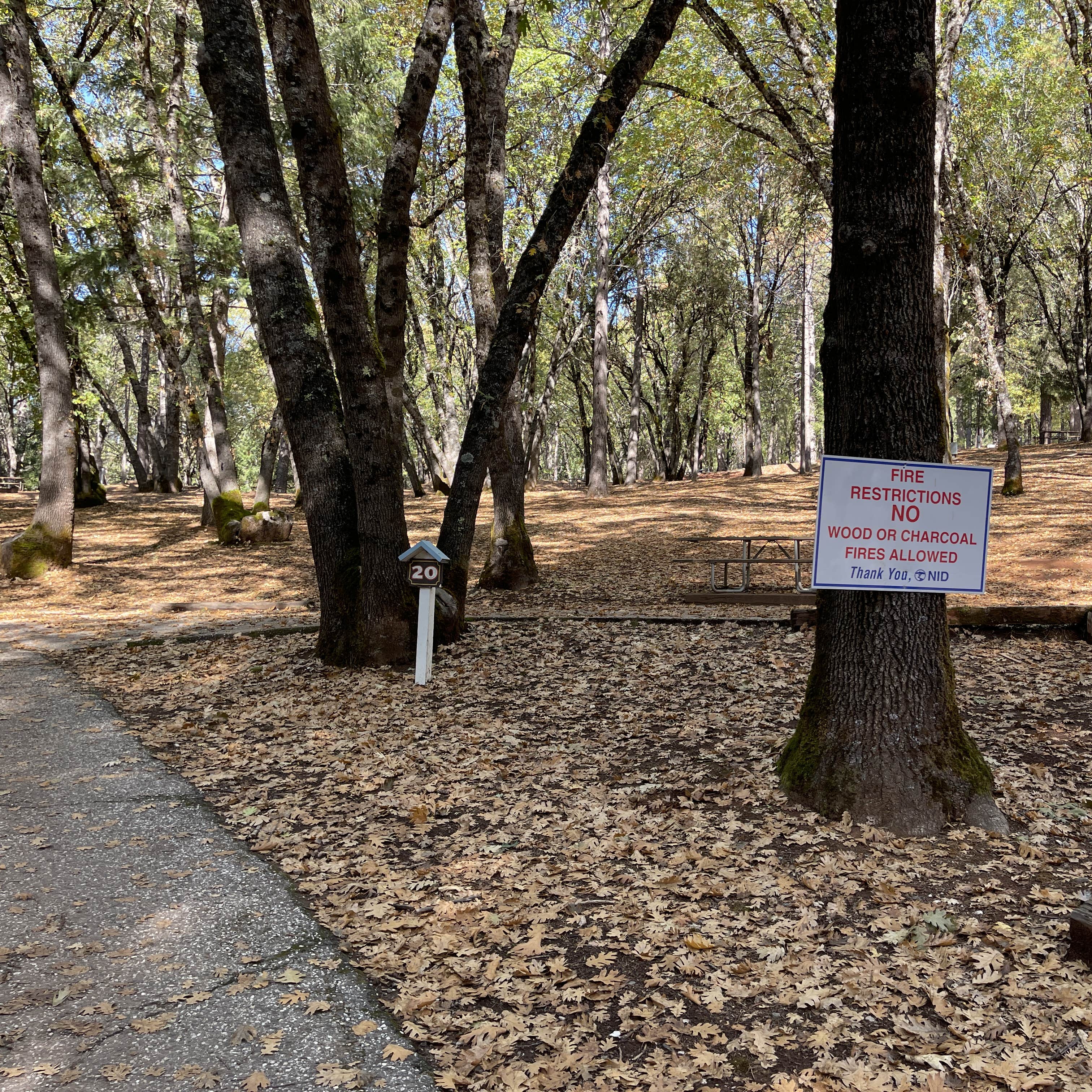 Long Ravine Resort Camping | Pinecrest, California