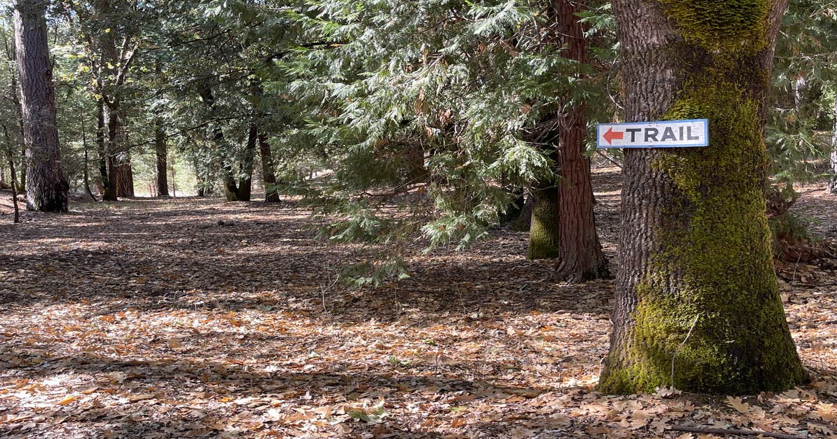 Long Ravine Resort Camping | Pinecrest, California