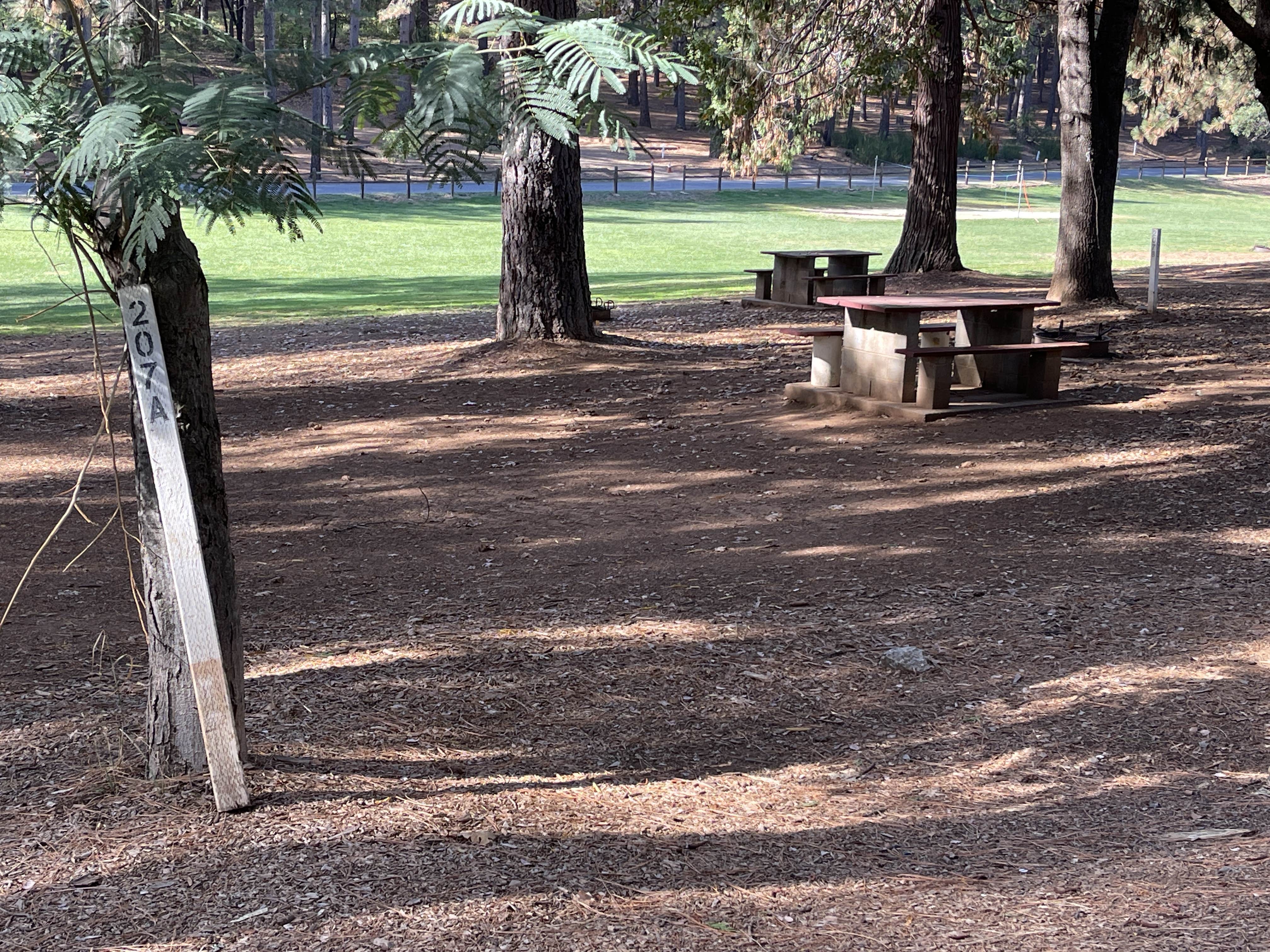 Orchard Springs Campground | Pinecrest, California