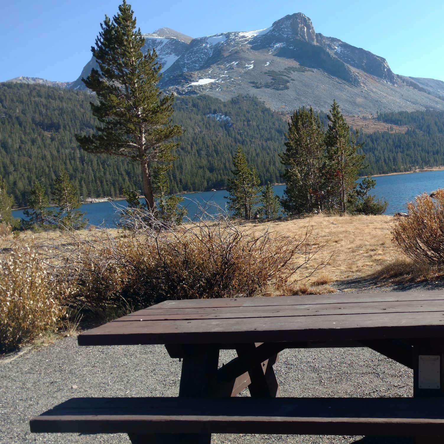 Tioga Lake Campground | Lee Vining, California