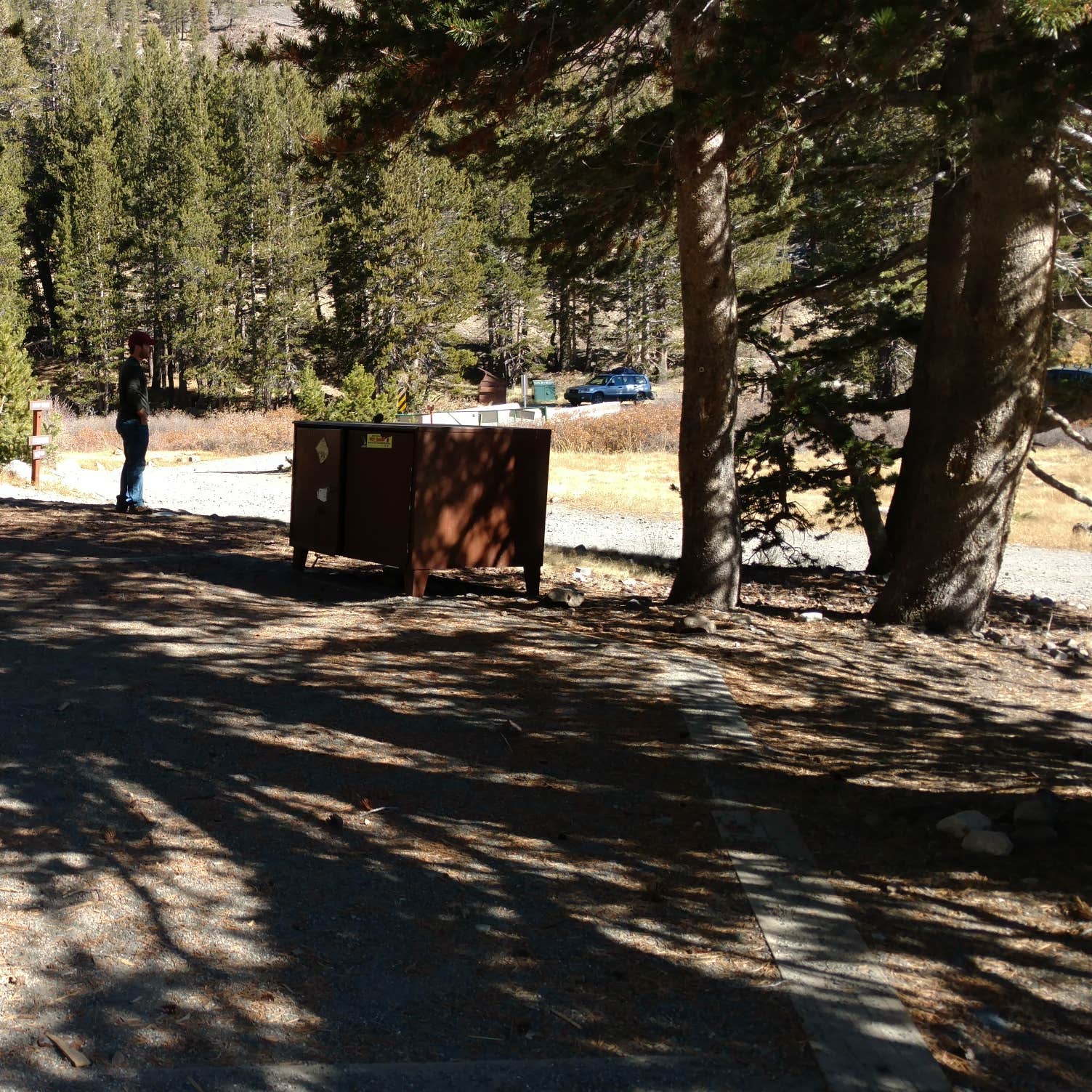 Junction Campground | Lee Vining, California