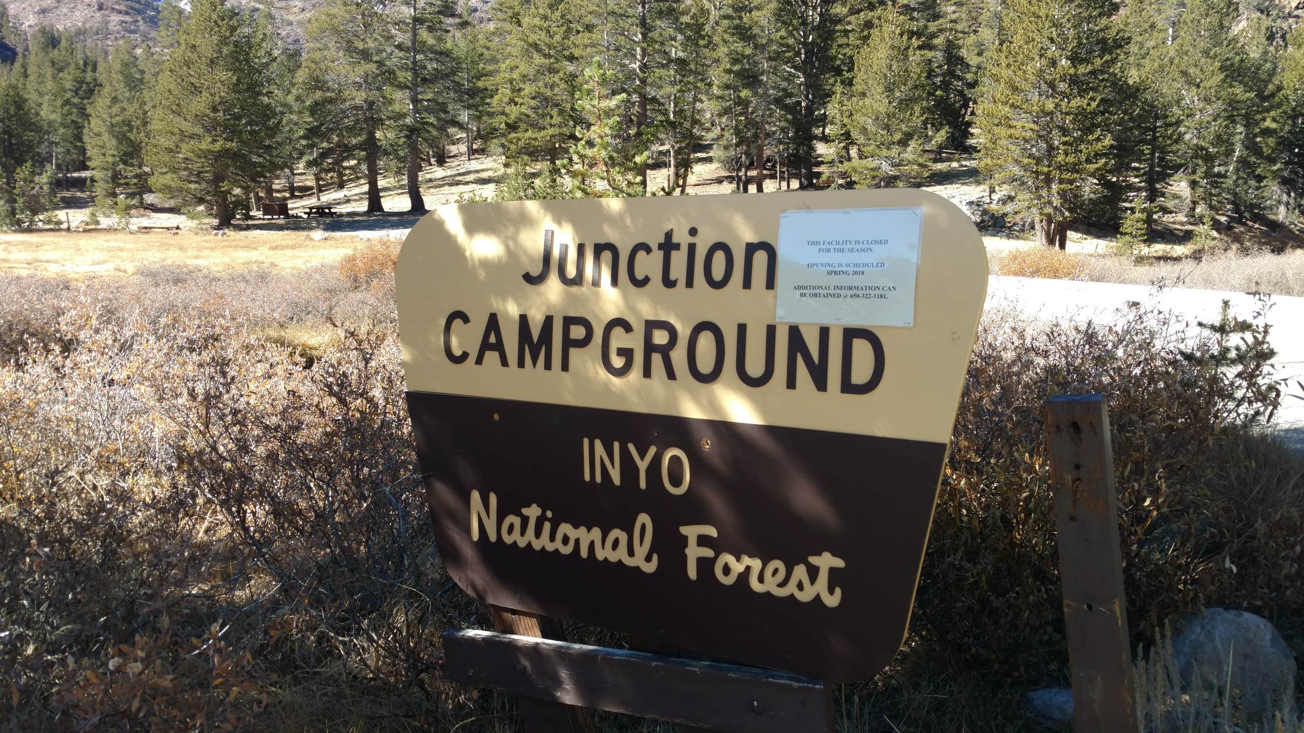 Junction Campground | Lee Vining, CA