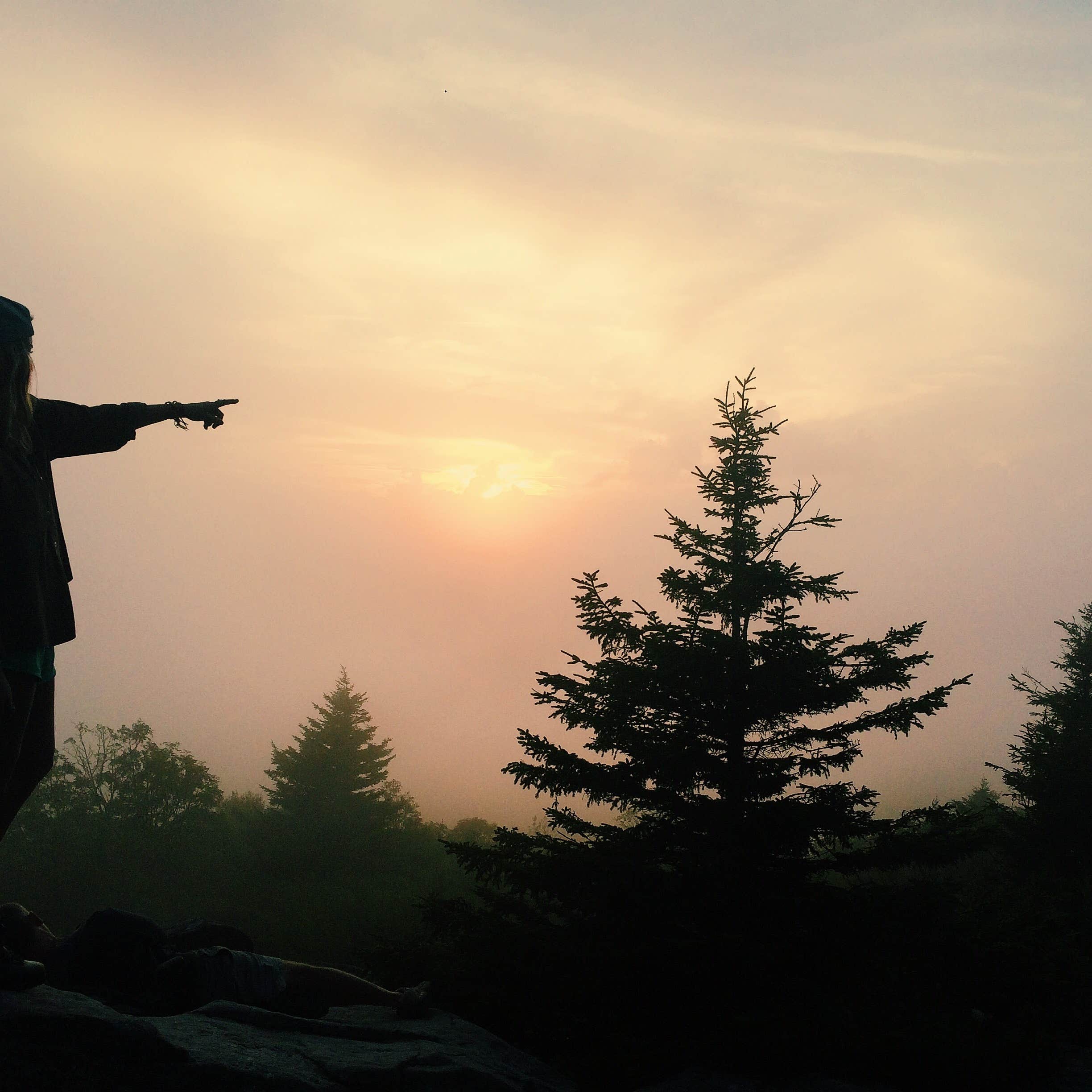 Spruce Knob and Spruce Knob Observation Tower Camping | The Dyrt