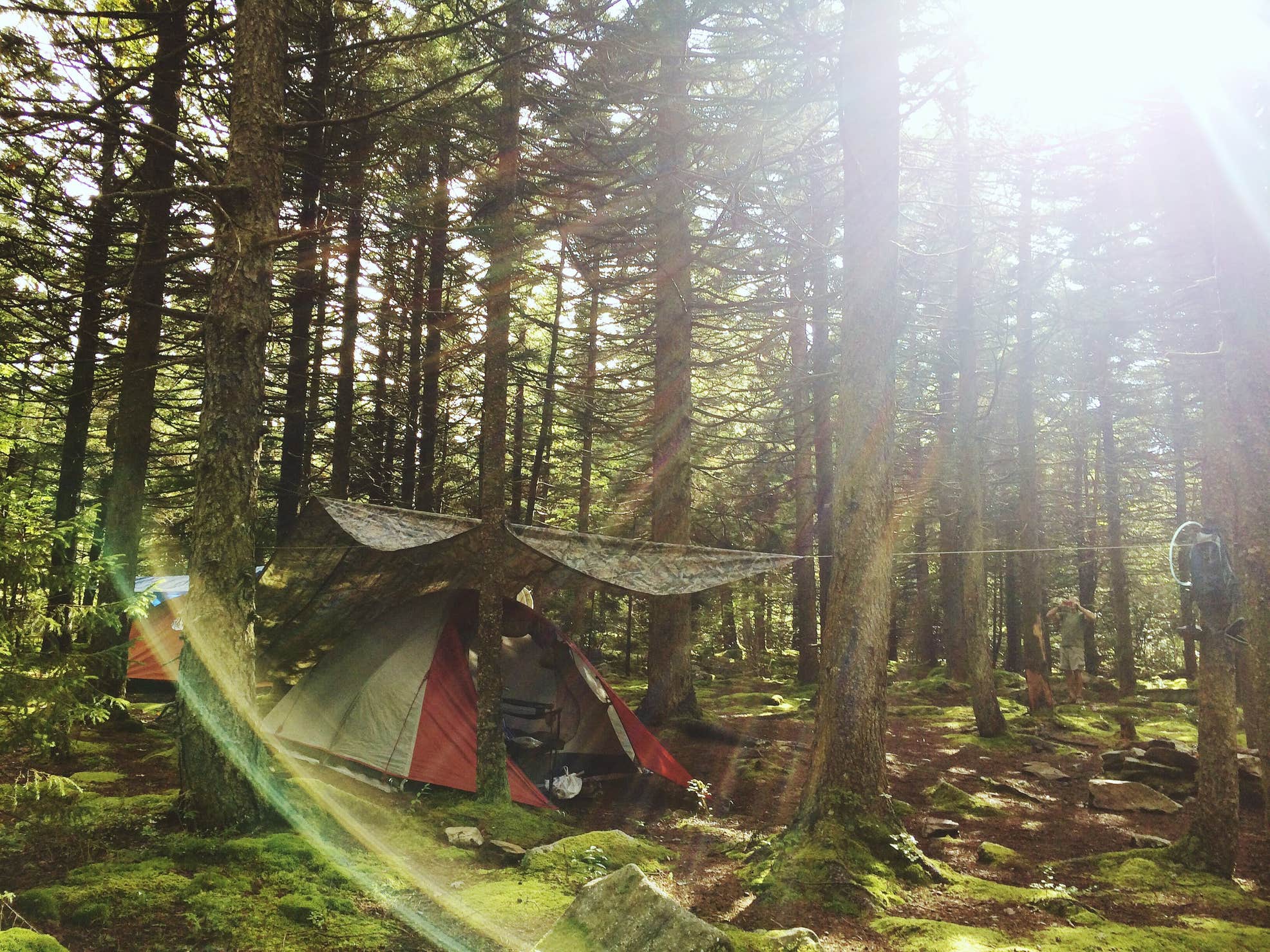 Spruce Knob and Spruce Knob Observation Tower | The Dyrt