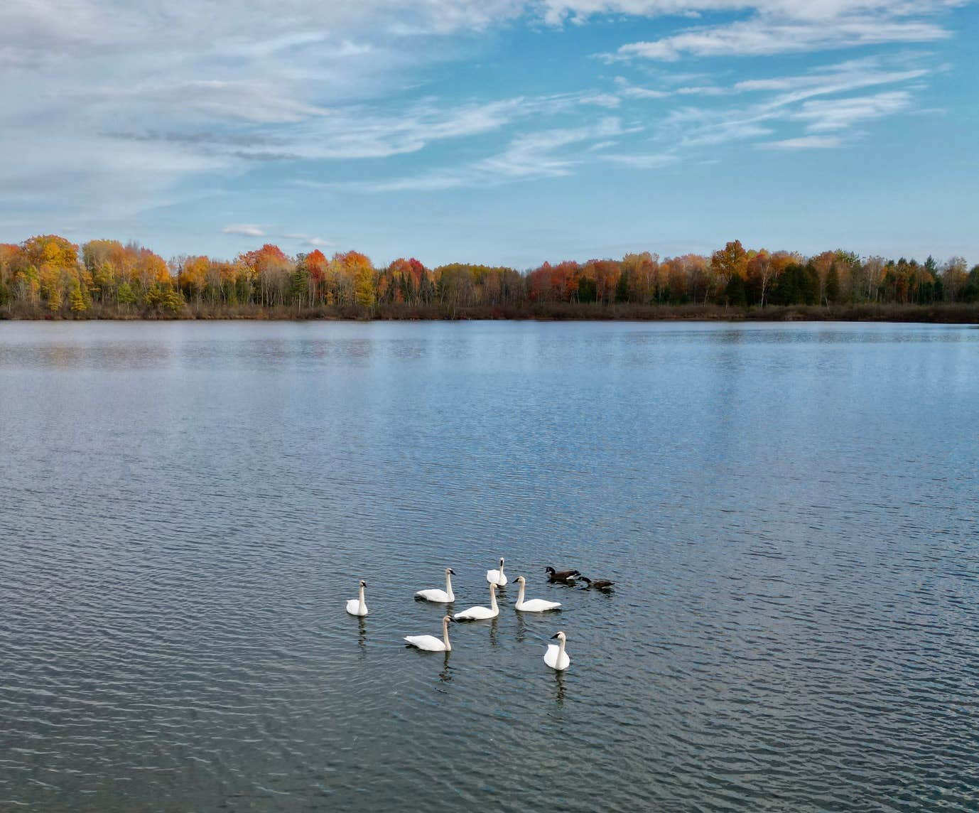 Woodlands Acres Campground | Hale, Michigan