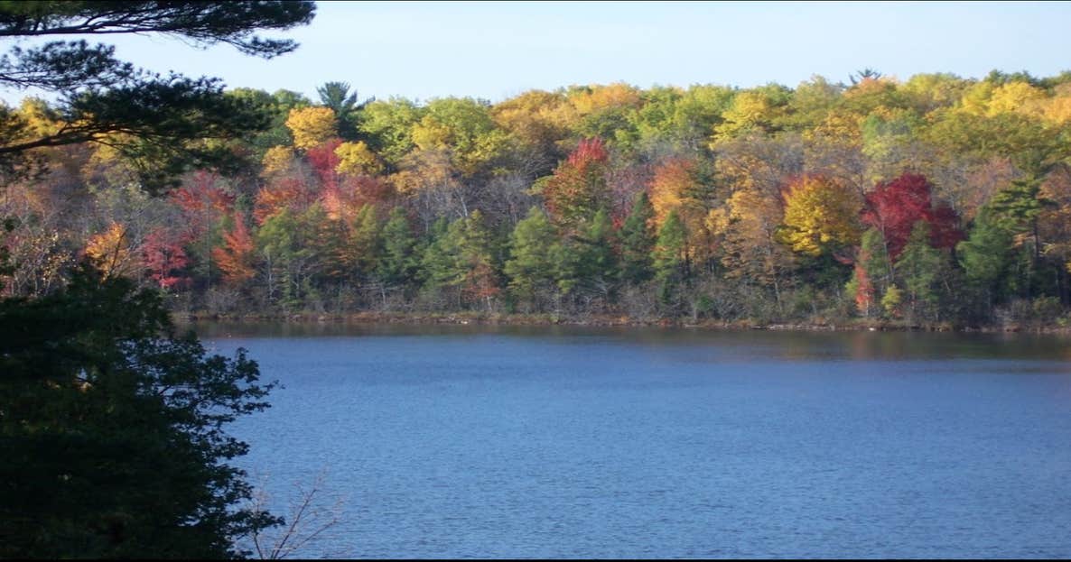 Woodlands Acres Campground | Hale, Michigan