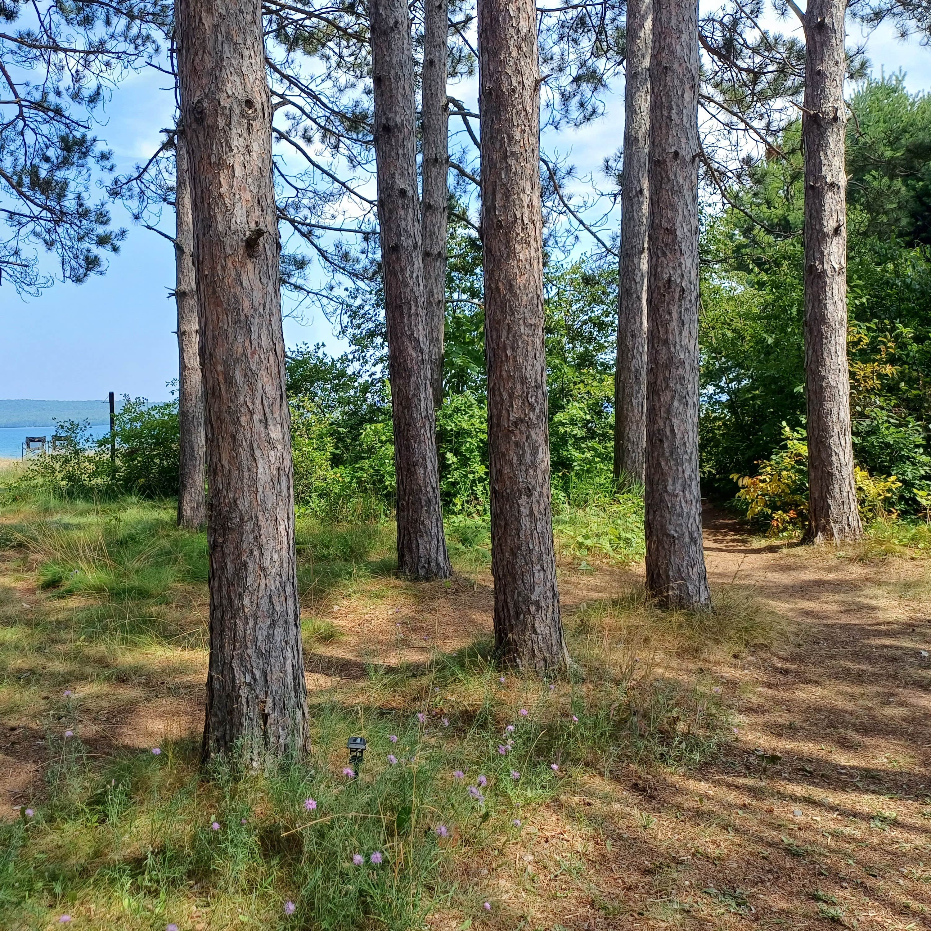 Bay Furnace Campground | Munising, Michigan