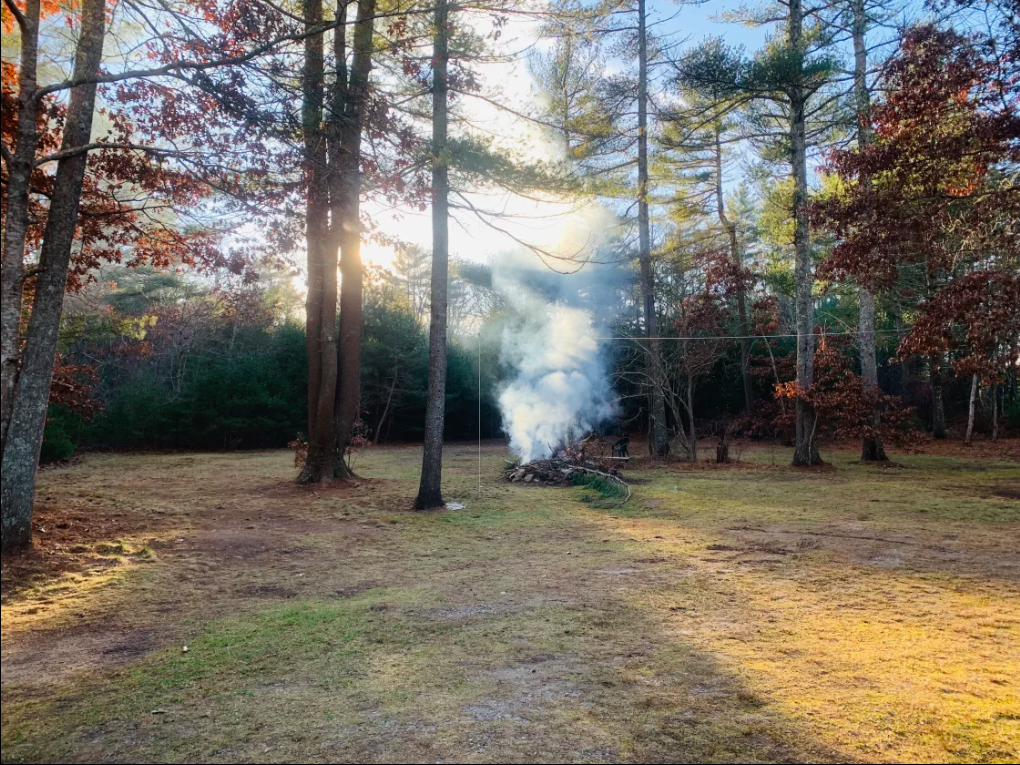 Cozy Wooded Nook Camping | Plymouth, Massachusetts