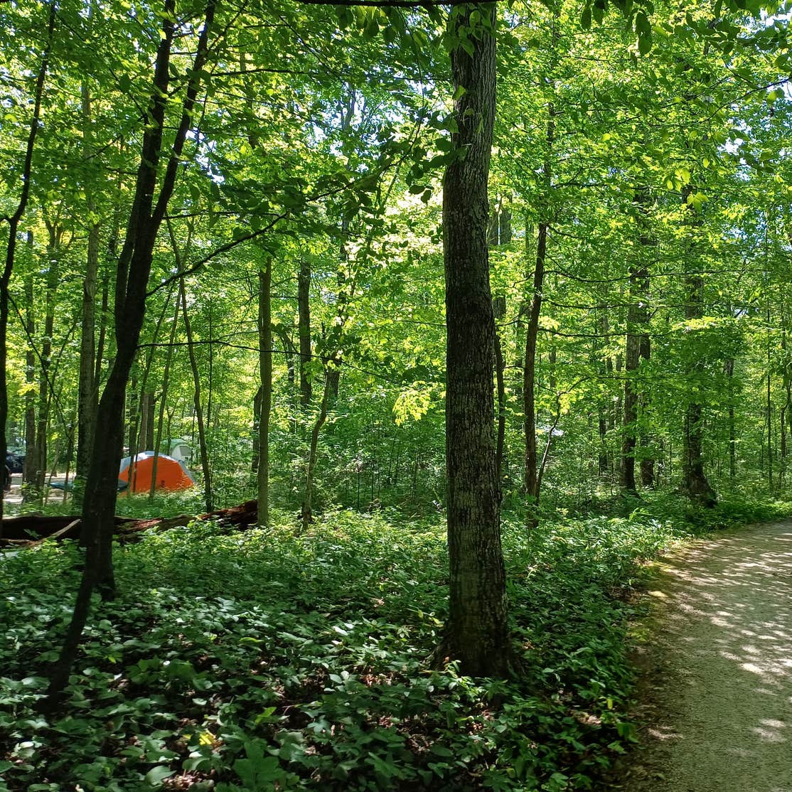 Welcker's Point Campground — Peninsula State Park | Fish Creek, WI