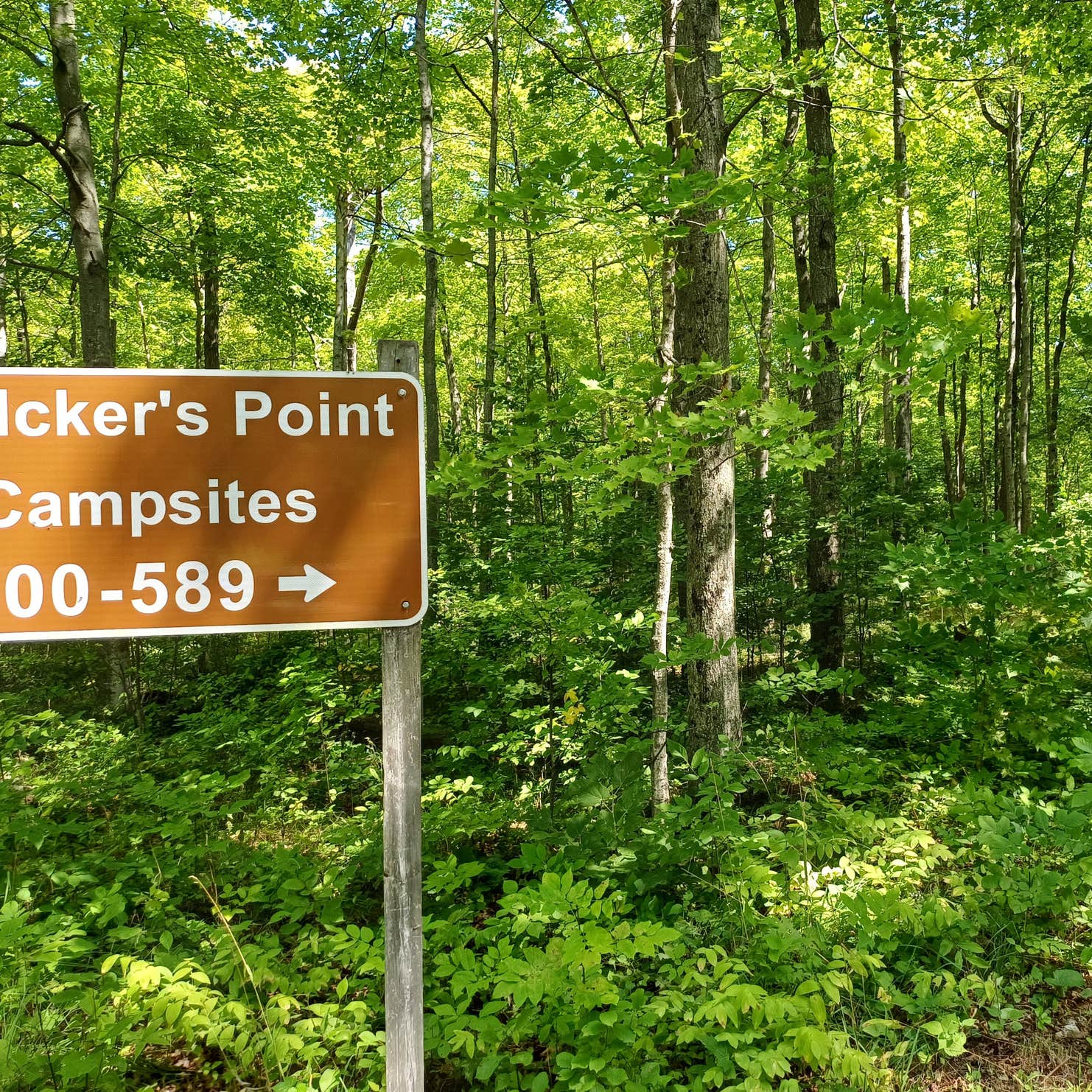 Welcker's Point Campground — Peninsula State Park | Ephraim, Wisconsin