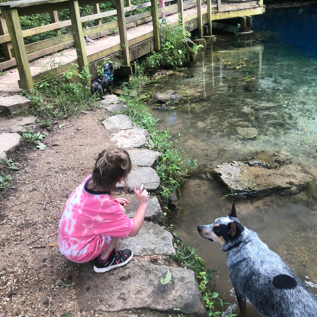 Blue Spring Backcountry Camping — Ozark National Scenic Riverway ...