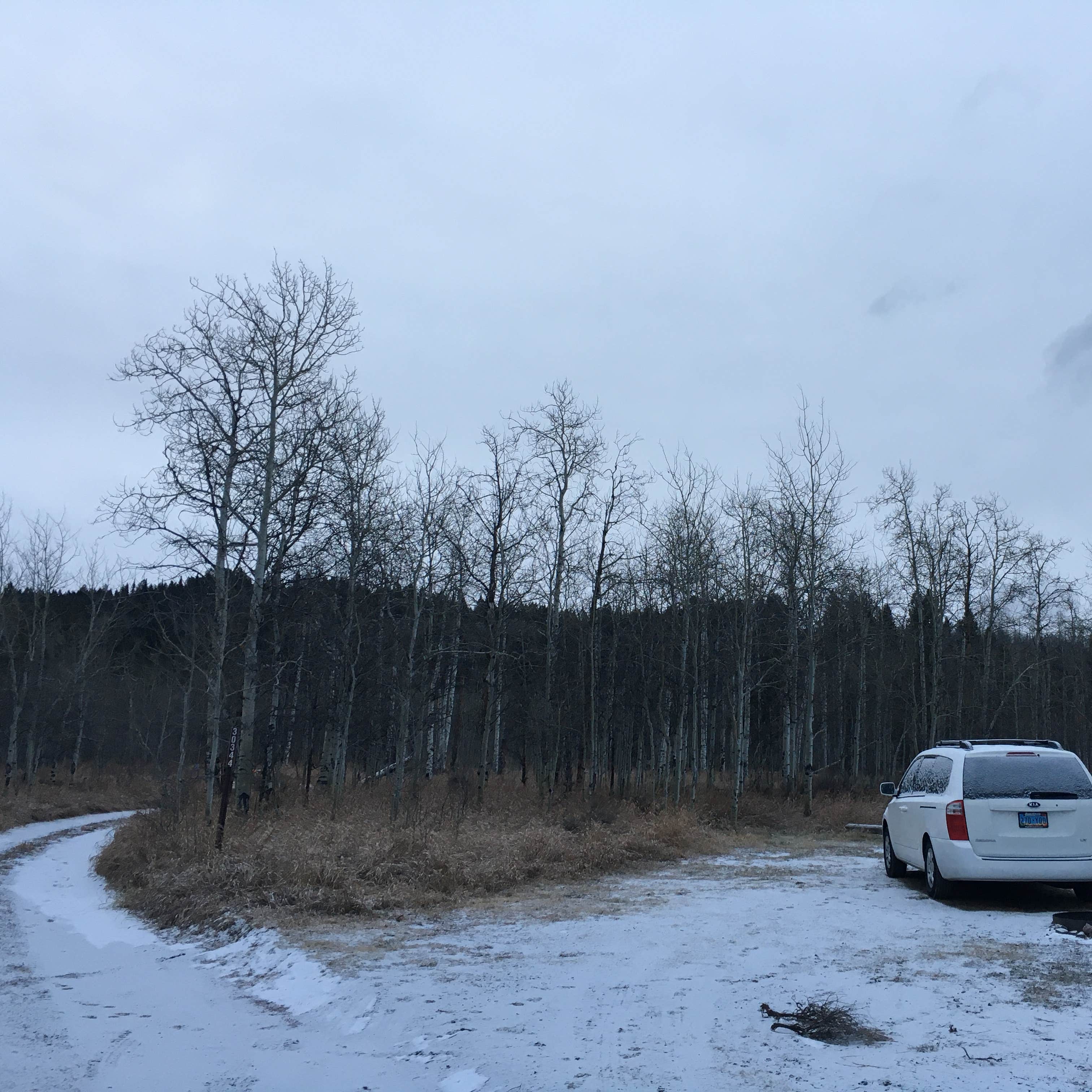 Antelope Springs Designated Dispersed Camping Sites 1-8 | Kelly, WY