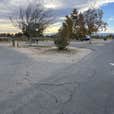 Mojave Narrows Regional Park Camping | Apple Valley, California