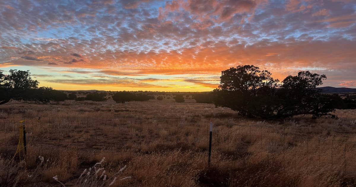 Old Cherokee Ranch Camping | Seligman, Arizona