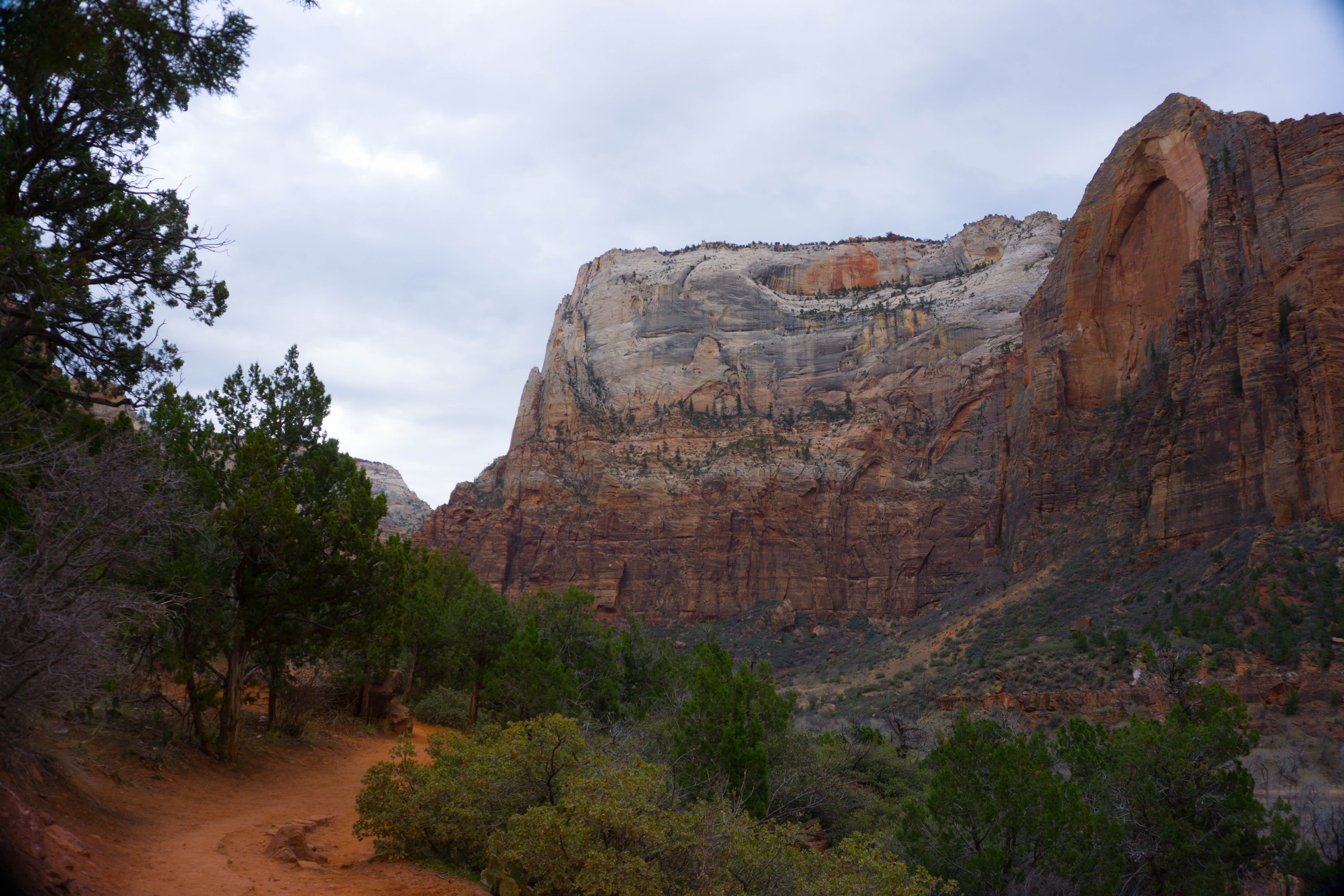 Lava Point Campground — Zion National Park | Kanarraville, Utah
