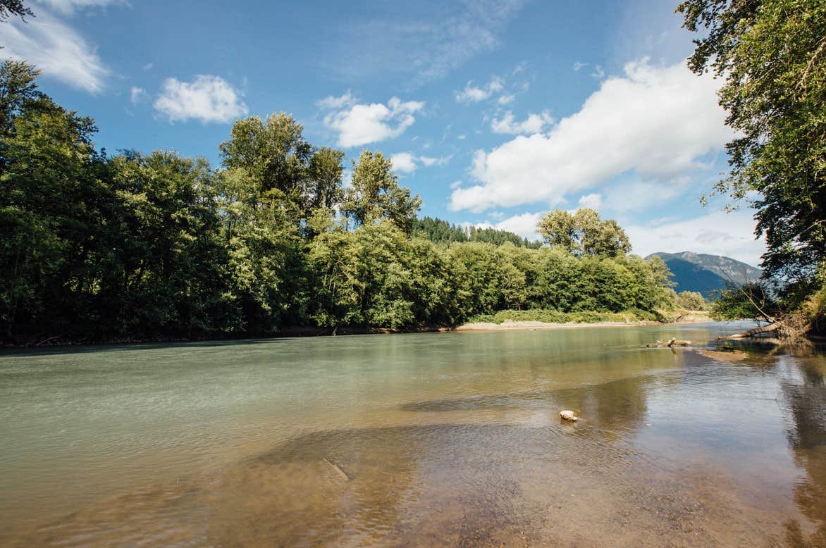 Maple Grove RV Resort (Randle) - KM Resorts | Randle, Washington