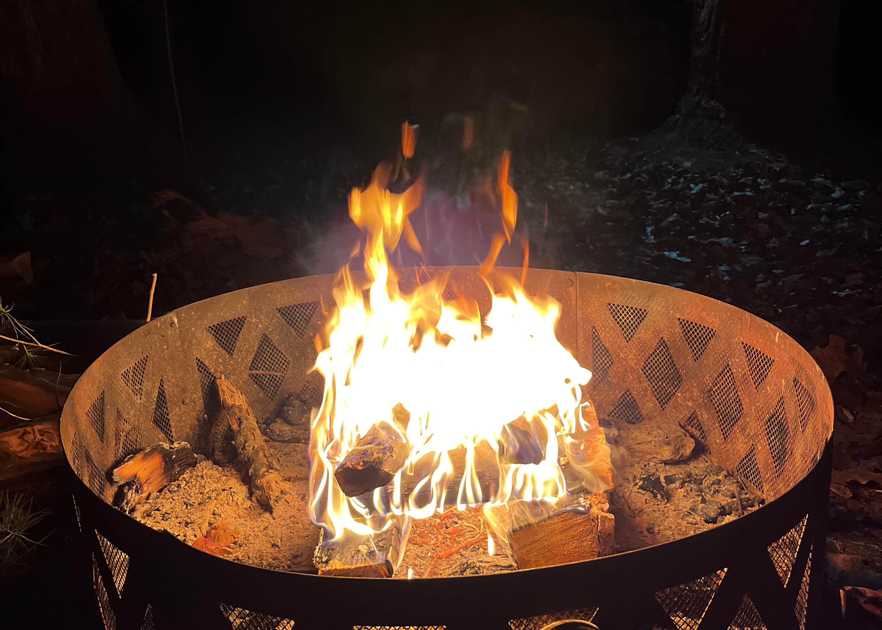 Berry Ridge Road - Dispersed Camping Camping | The Dyrt