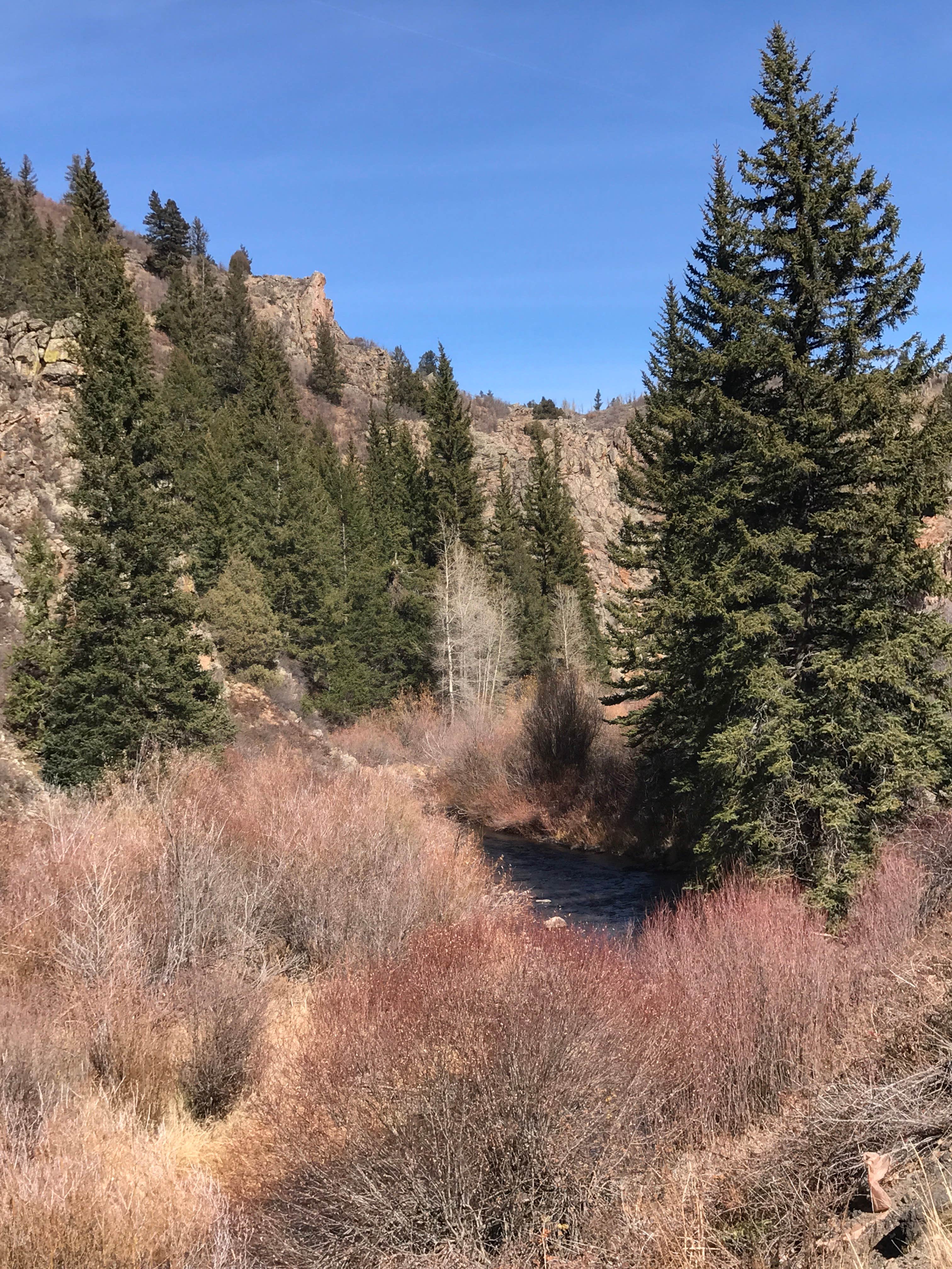 Weller Campground | Aspen, CO