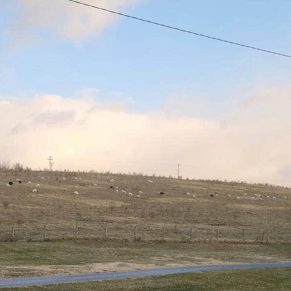 Fort Chiswell RV Park | Max Meadows, Virginia