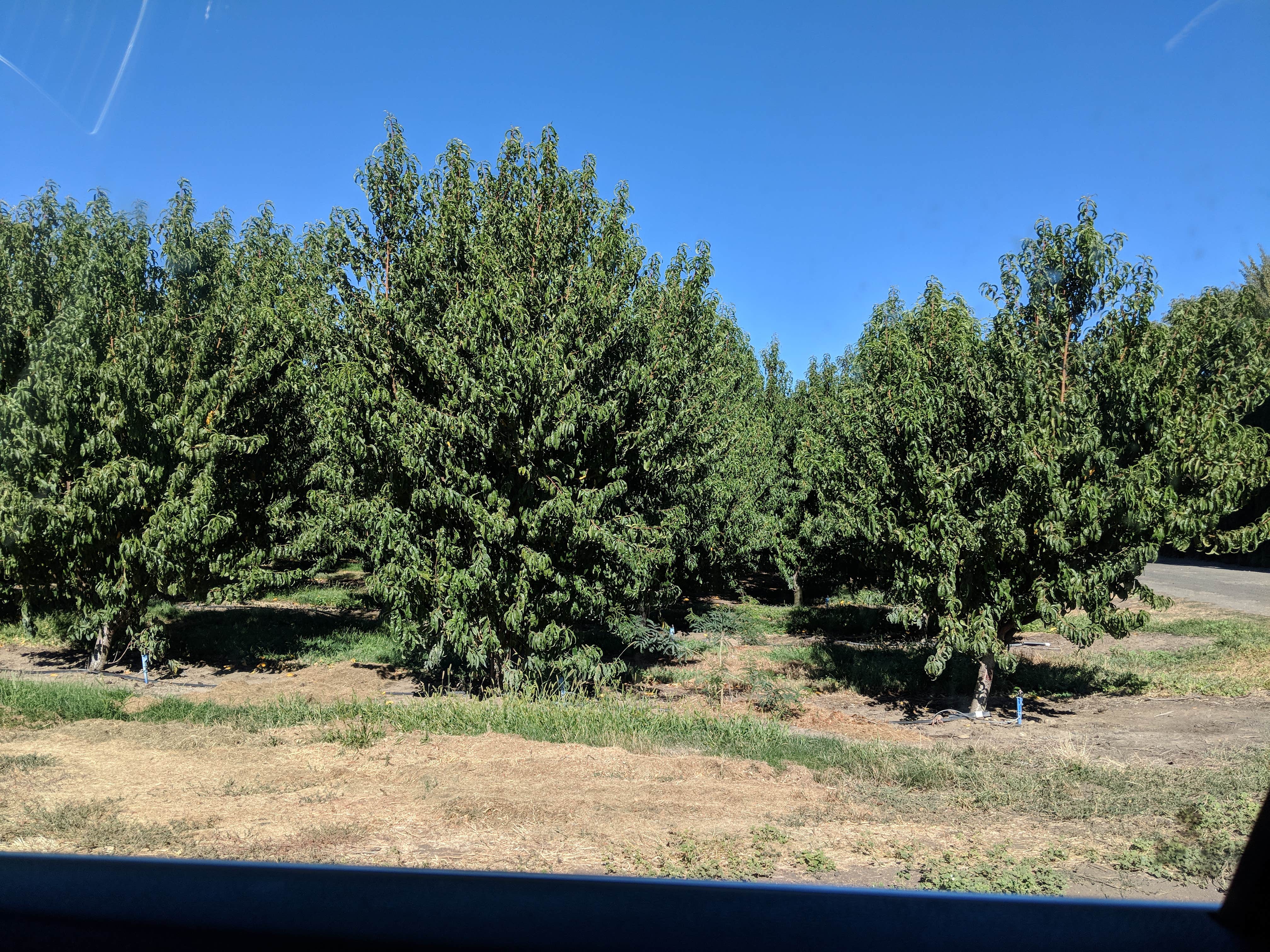 Peach Beach RV Park on the Columbia | Cheatham Lock and Dam, Oregon