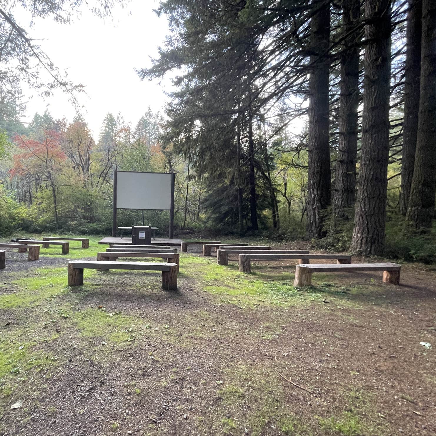 Silver Falls State Park Campground | Sublimity, OR