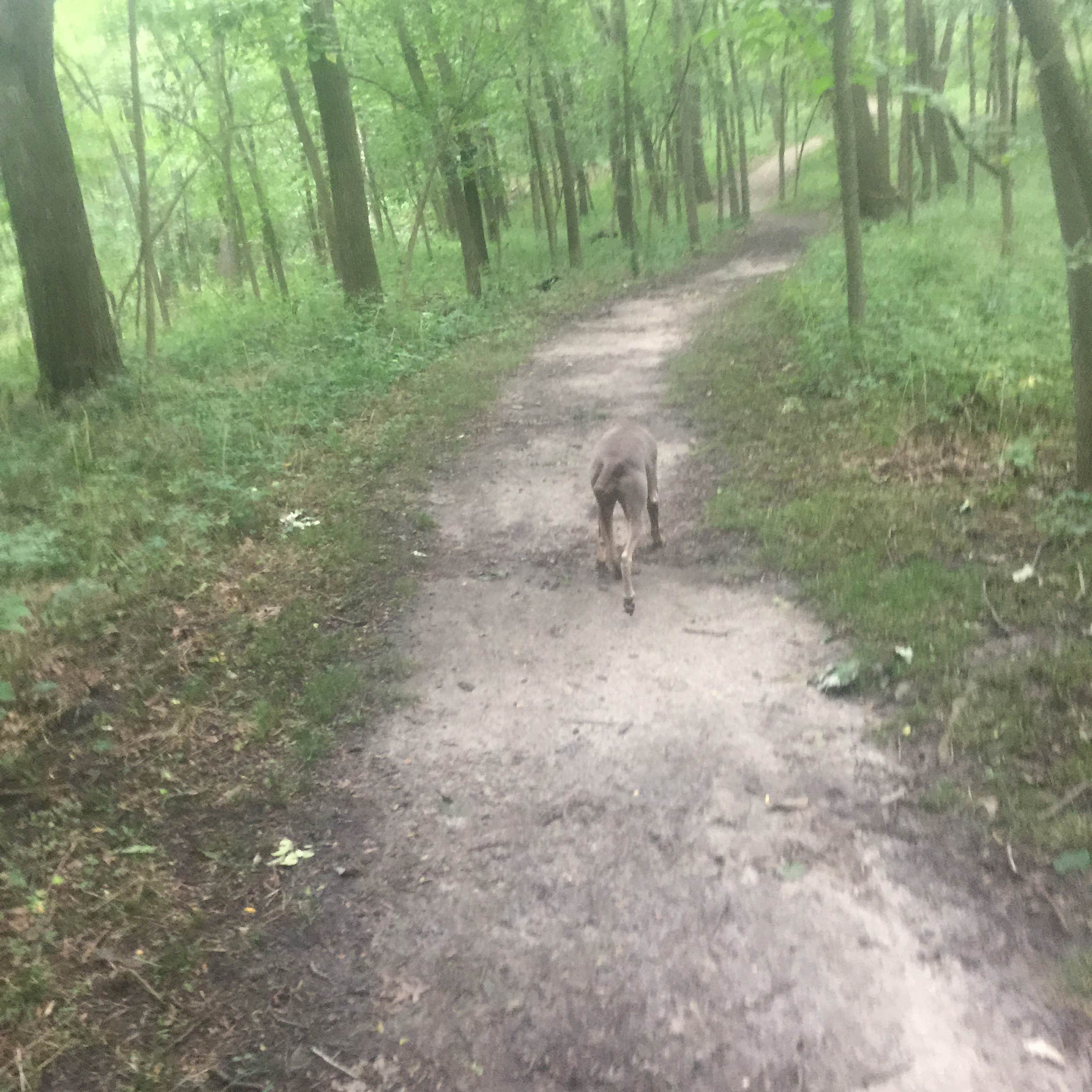 Jester County Park Camping | Granger, Iowa