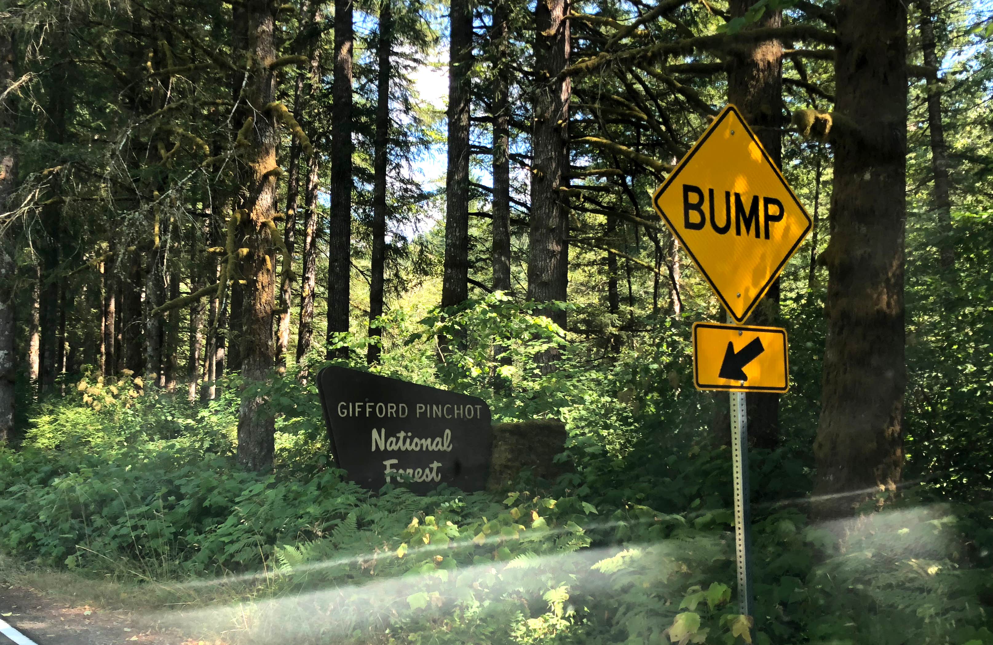 Sunset Falls Campground | Yacolt, Washington