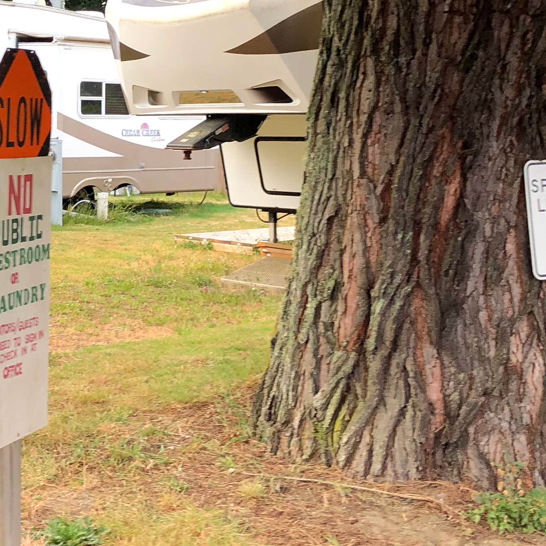 Paradise Cove Resort and RV Park | Castle Rock, WA